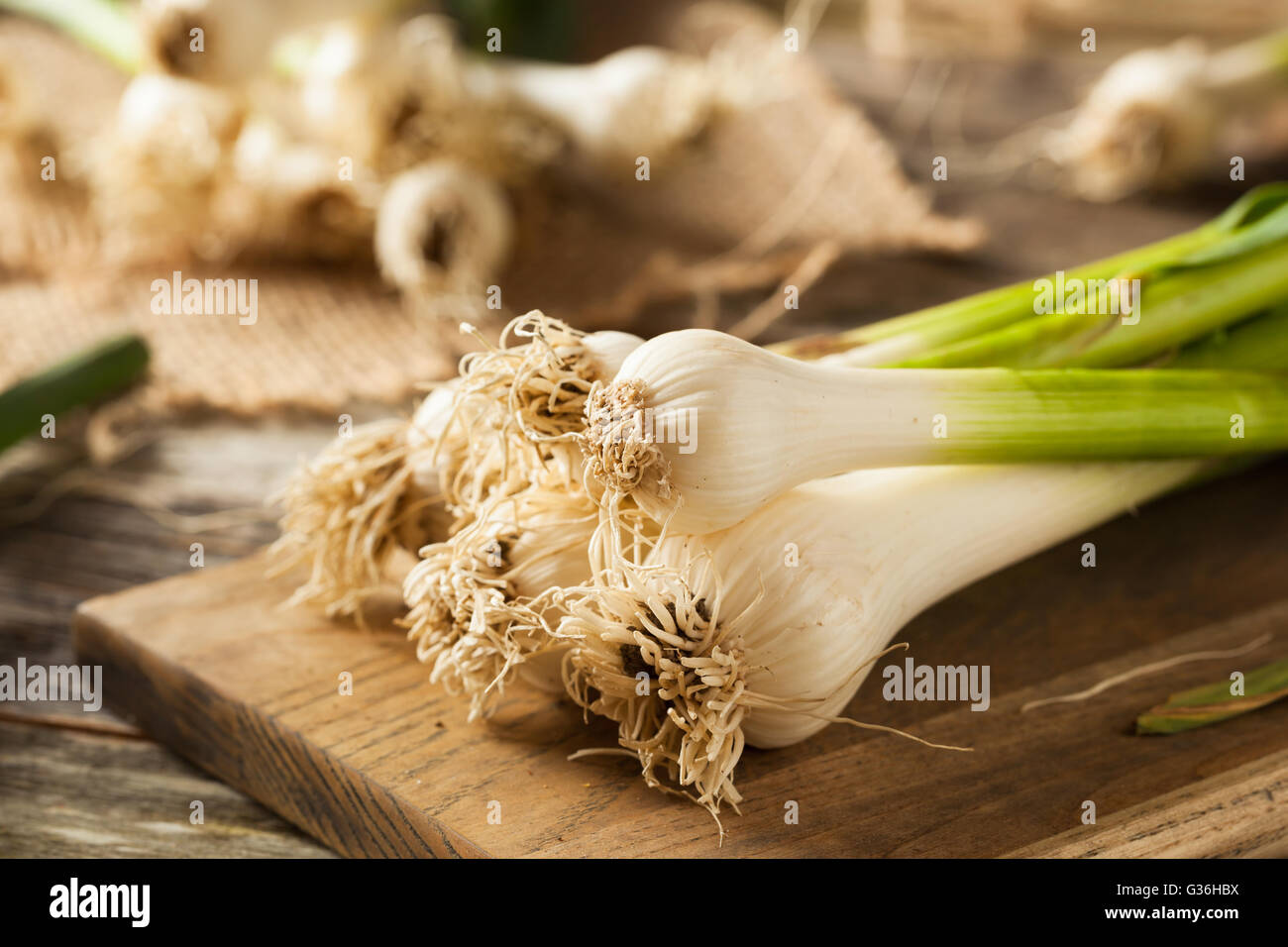 Raw Organic Spring Garlic Ready for Cooking Stock Photo - Alamy