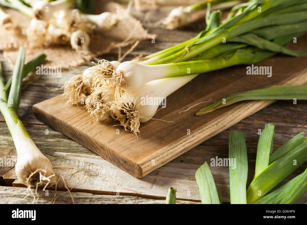 Green garlic cloves hi-res stock photography and images - Alamy