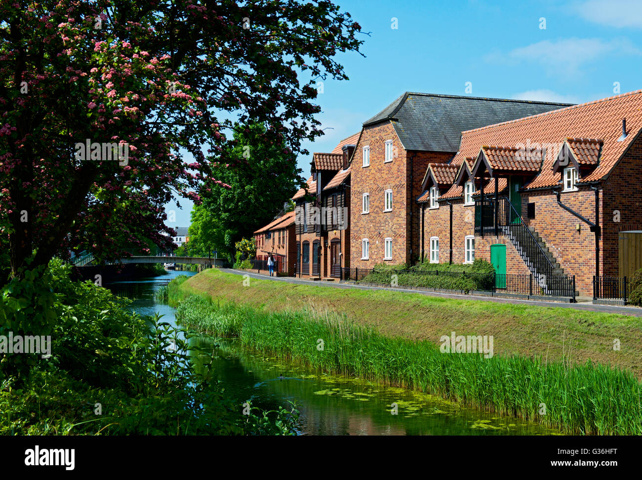 Spalding lincolnshire hi-res stock photography and images - Alamy