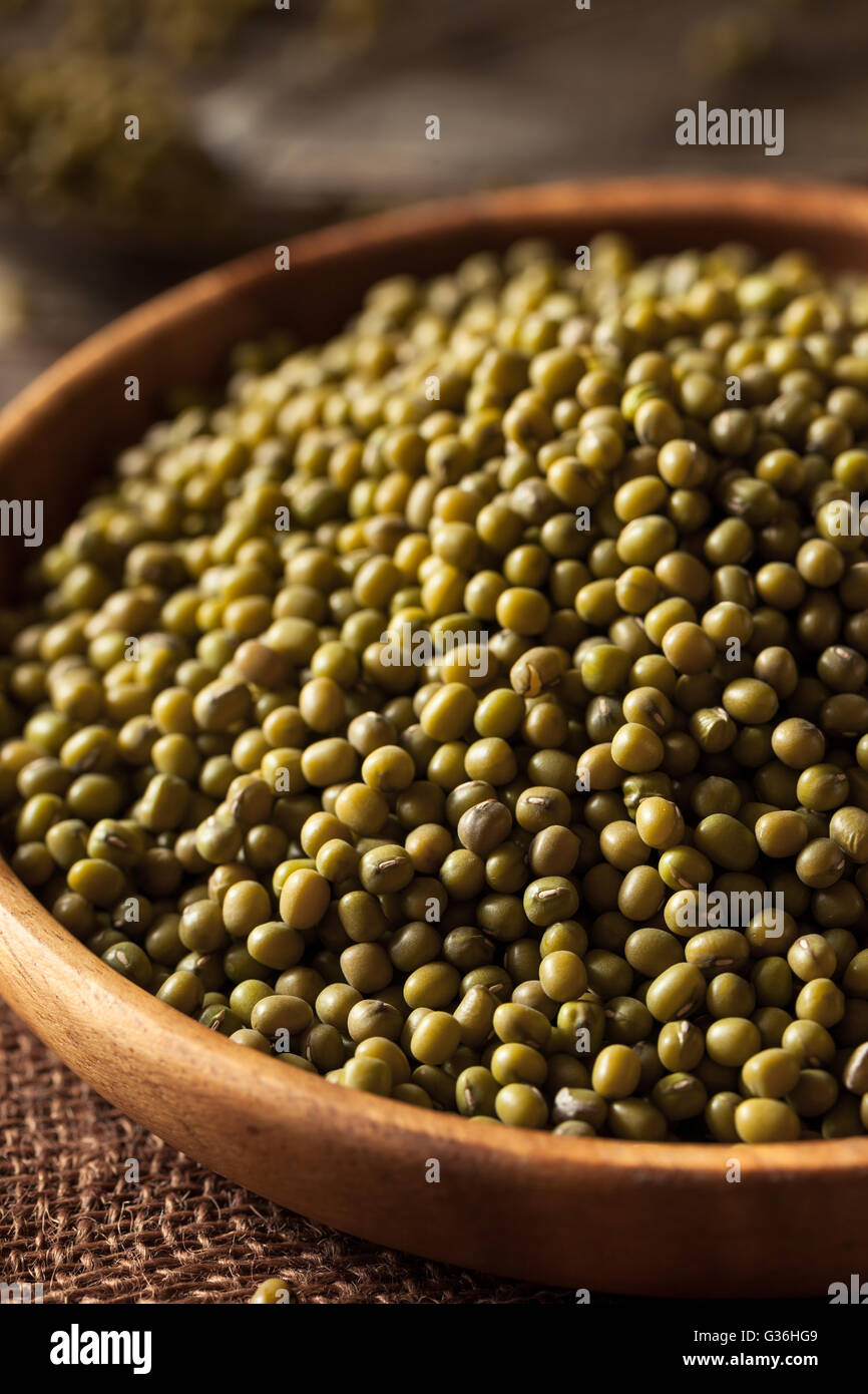 Raw Organic Green Mung Beans in a Bowl Stock Photo - Alamy