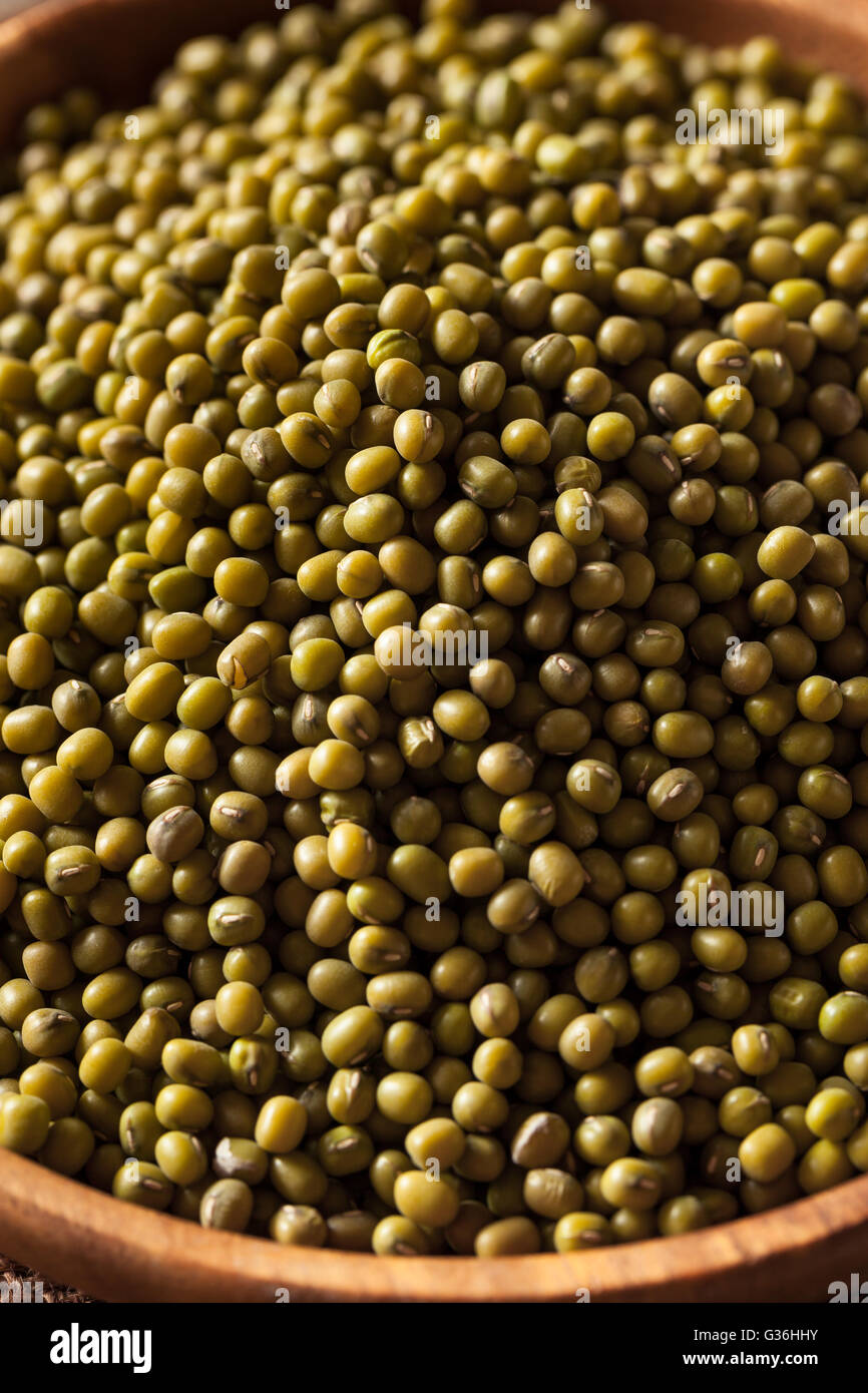 Green gram plant hi-res stock photography and images - Alamy