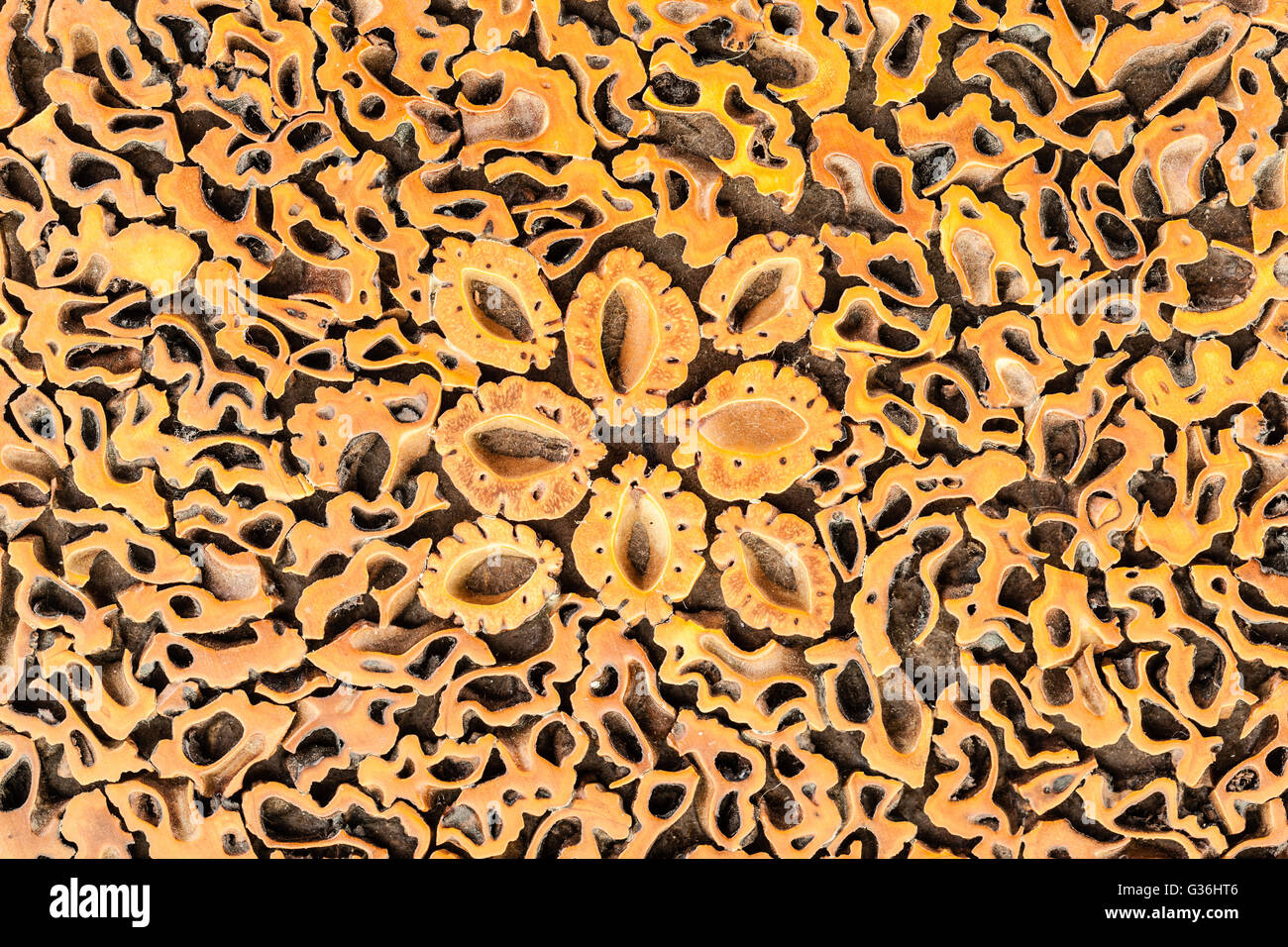 a very complex wooden inlay detail background Stock Photo - Alamy