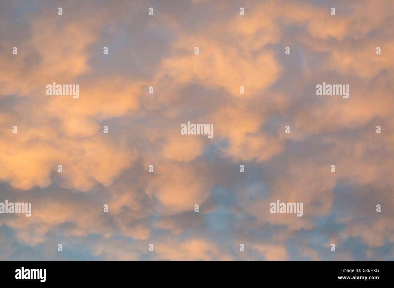 Altocumulus clouds just before sunset Stock Photo - Alamy