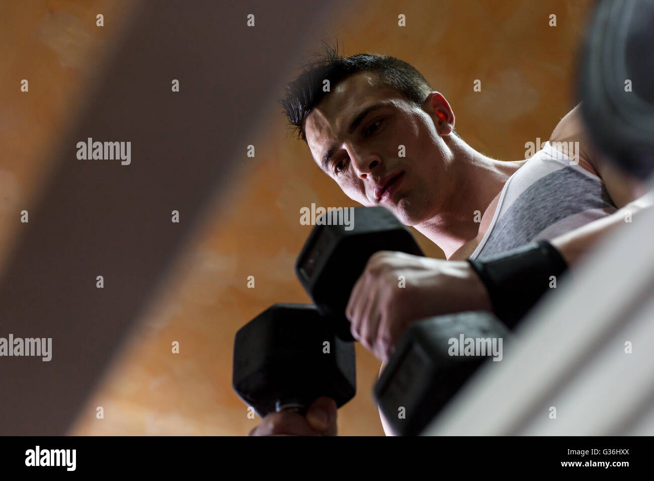 Strong man at the gym lifting heavy weights Stock Photo - Alamy