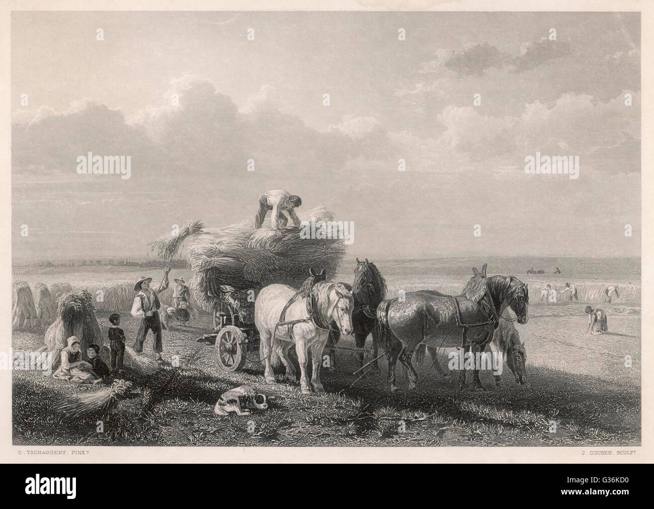Loading the hay cart during harvest Date: 19th century Stock Photo - Alamy