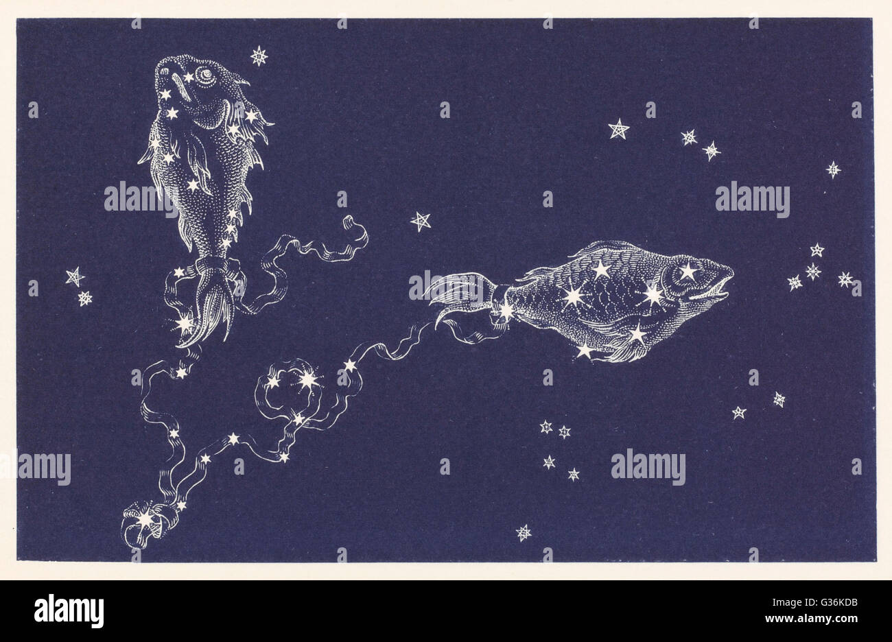 Pisces Constellation Fish