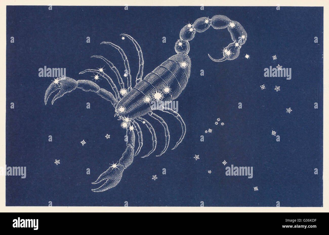 Scorpio Constellation