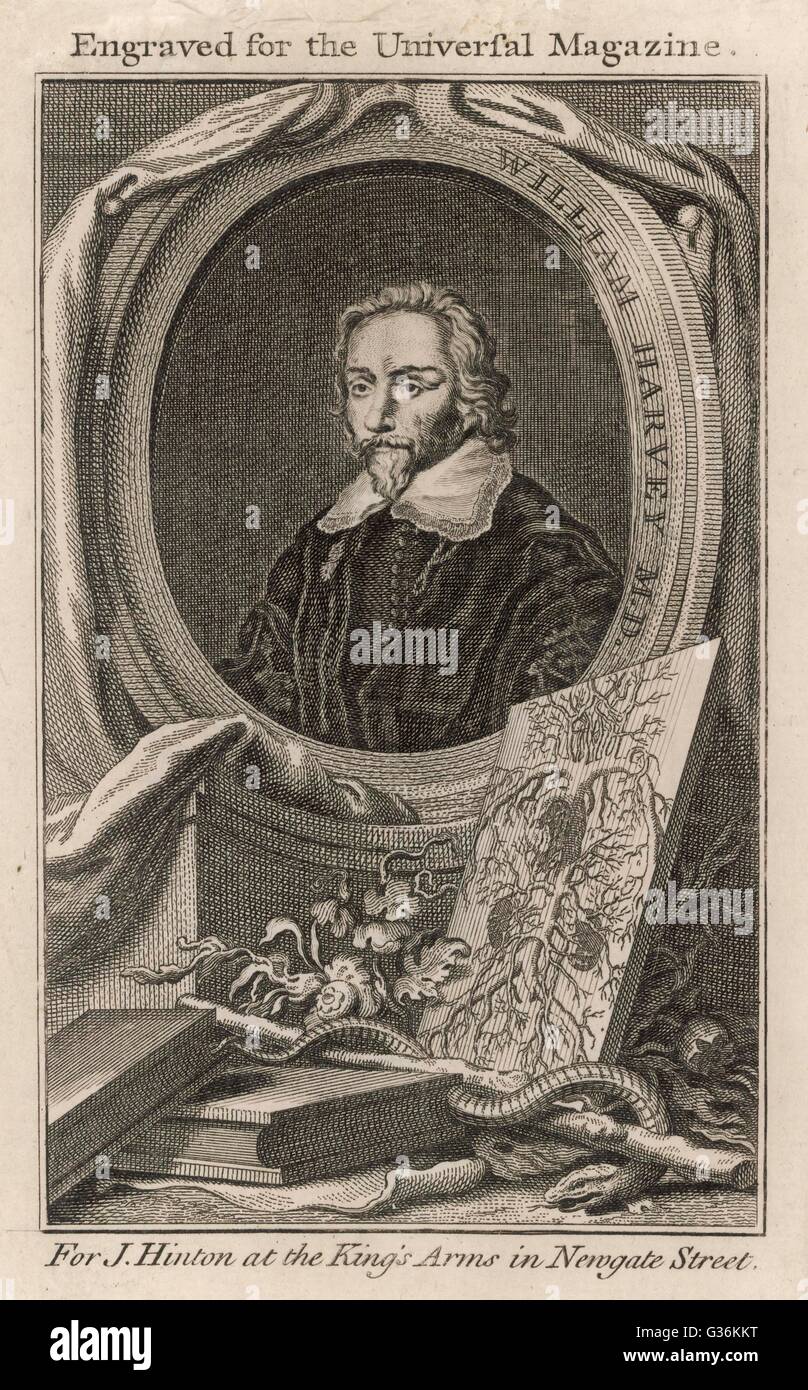 English Anatomist High Resolution Stock Photography and Images - Alamy