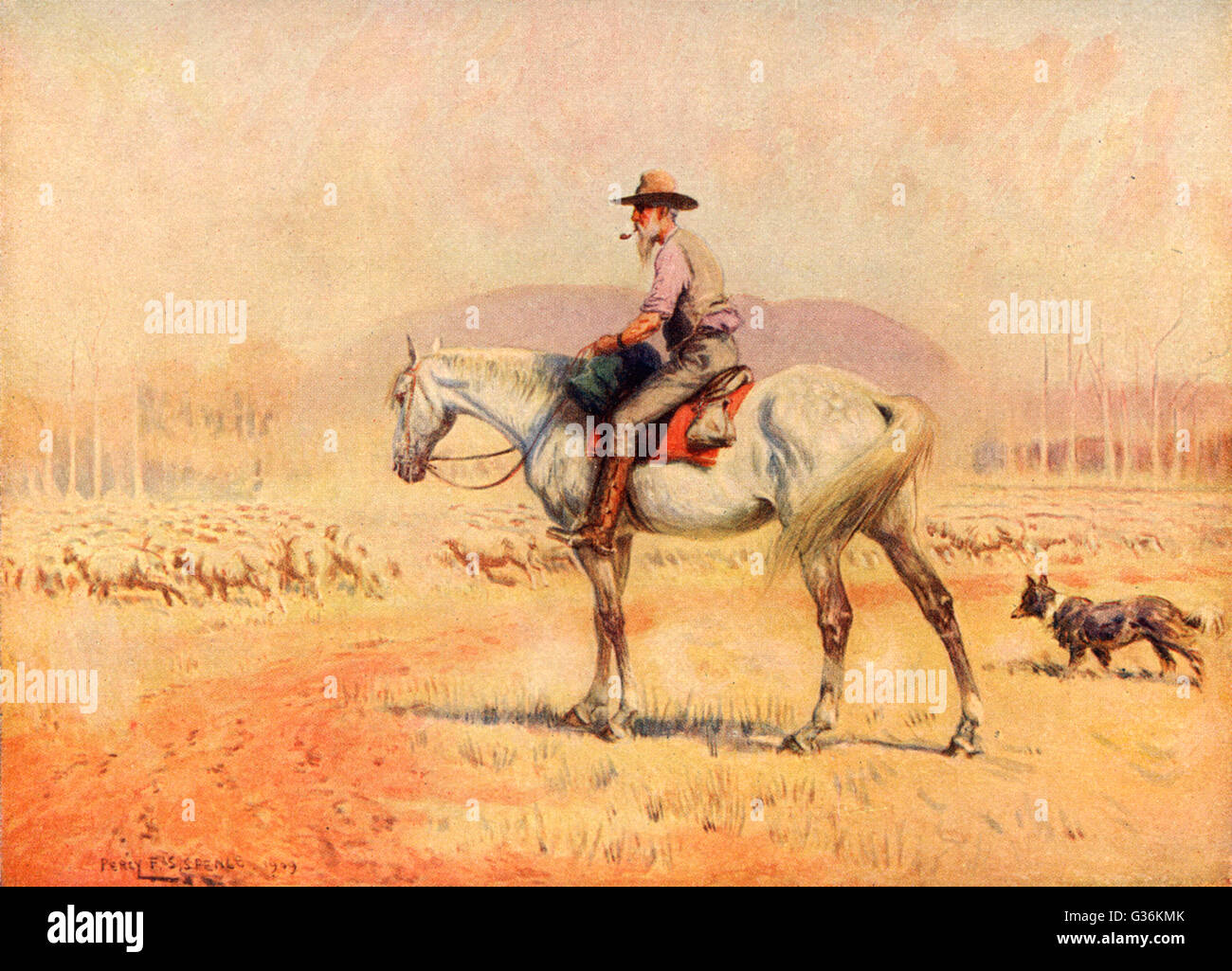 Australia sheep not drought hi-res stock photography and images - Alamy