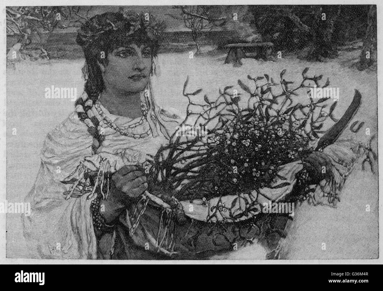 Druid Priestess with sacred mistletoe Stock Photo - Alamy