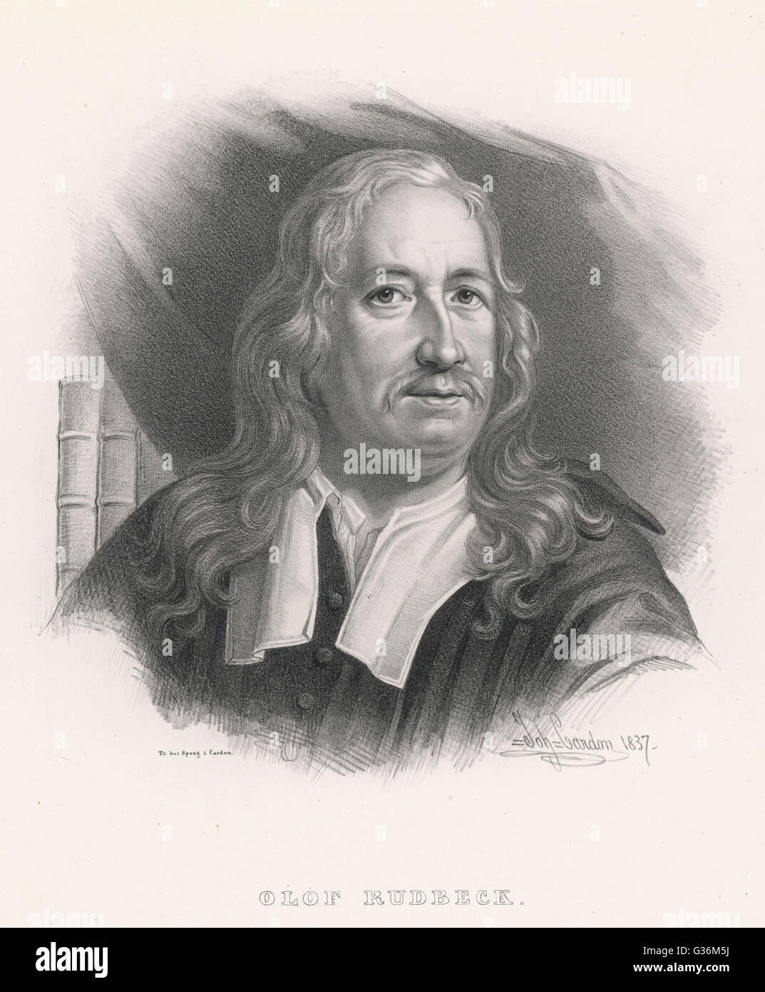 Rudbeck hi-res stock photography and images - Alamy