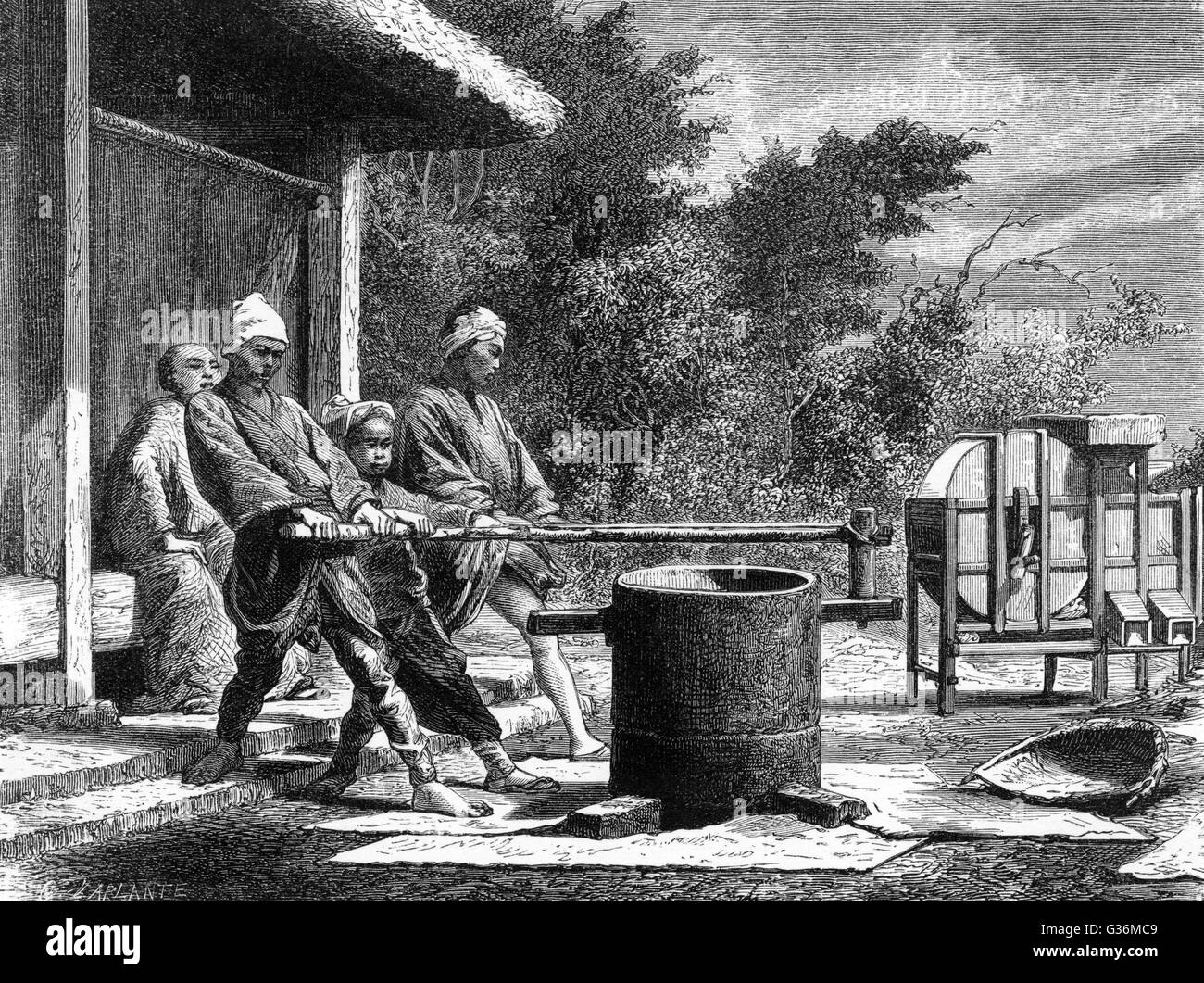 Japanese Rice Milling Machine at Bernard Baril blog