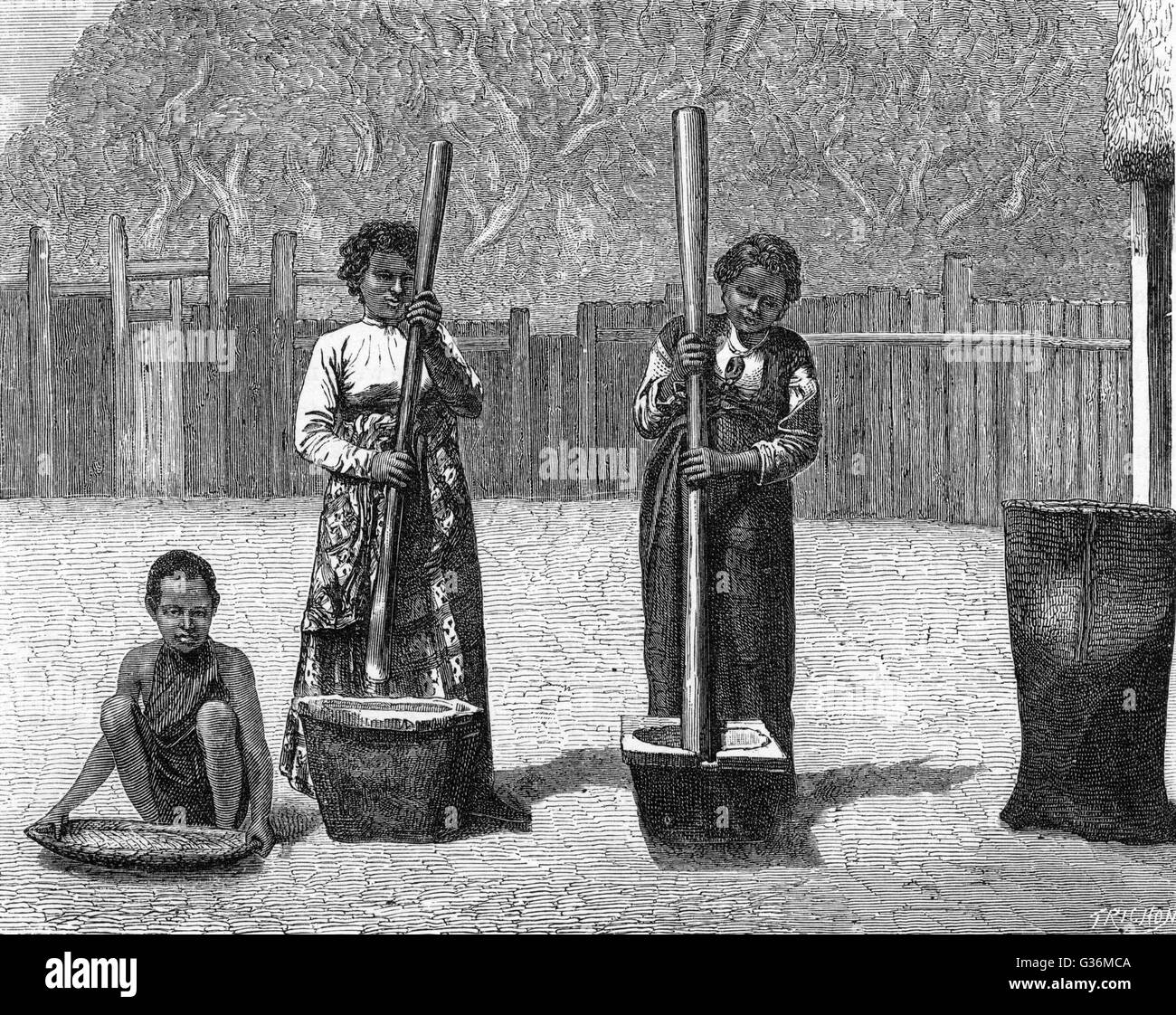 Rice pounding Black and White Stock Photos & Images - Alamy