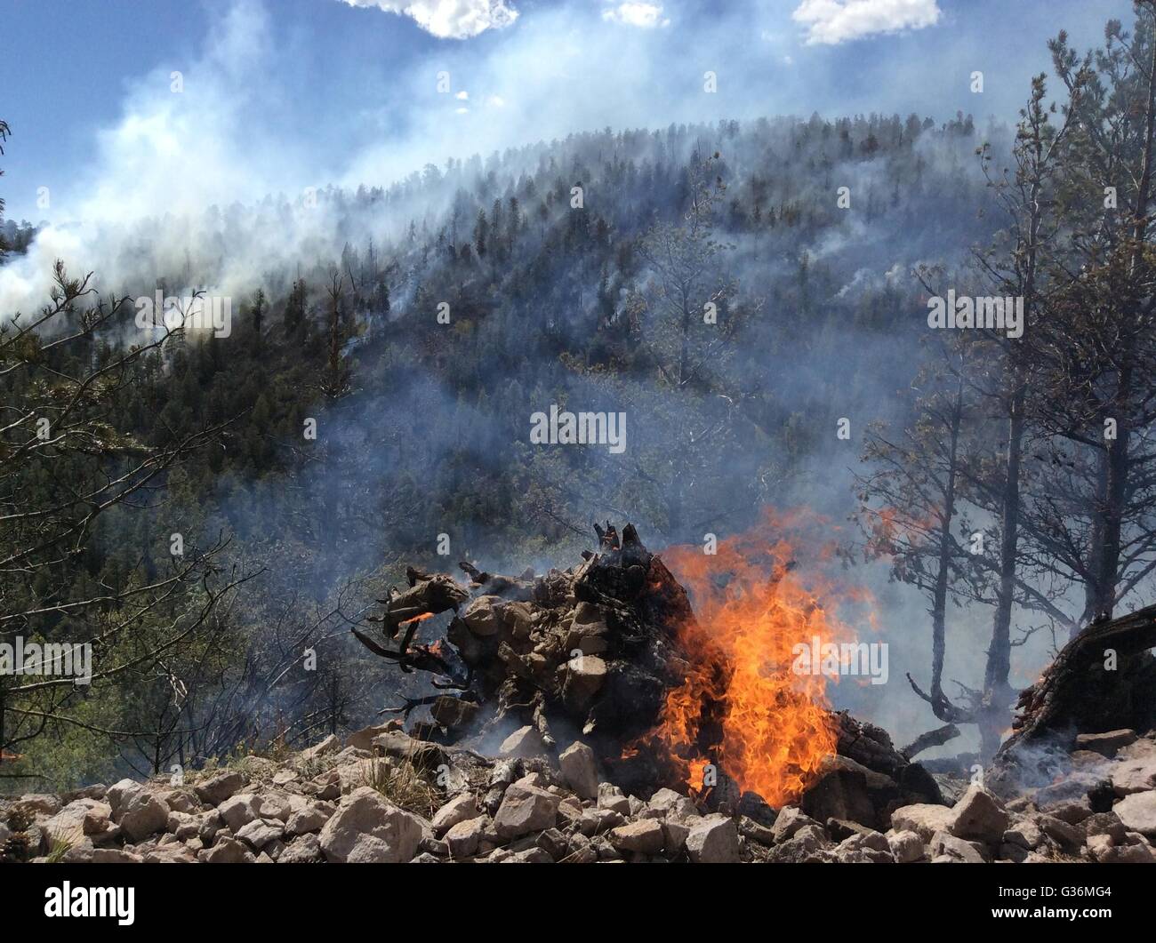 Smoke and flames rise from the Grassy North Fire burning in the Cibola ...
