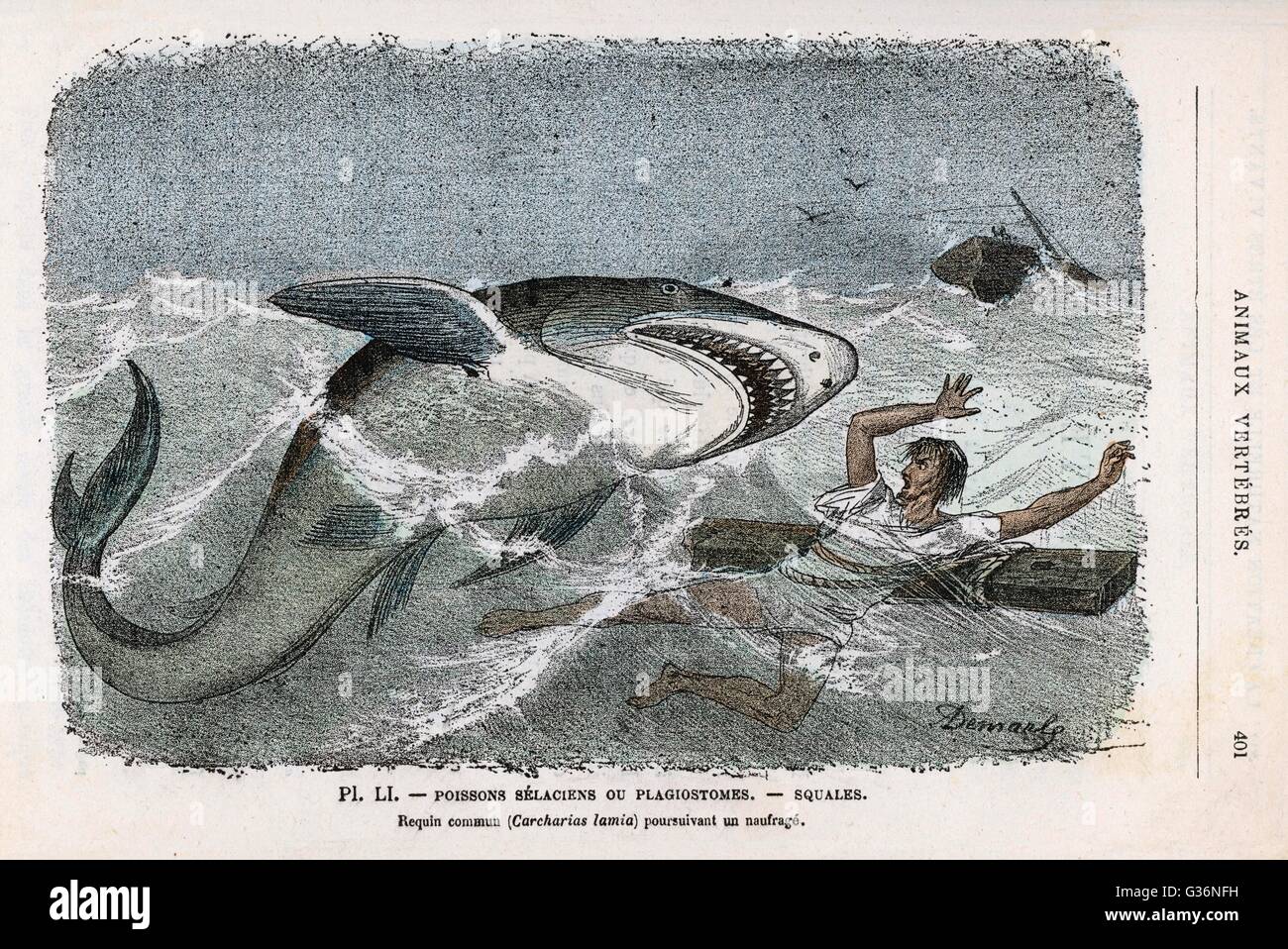 Shipwrecked man hi-res stock photography and images - Alamy