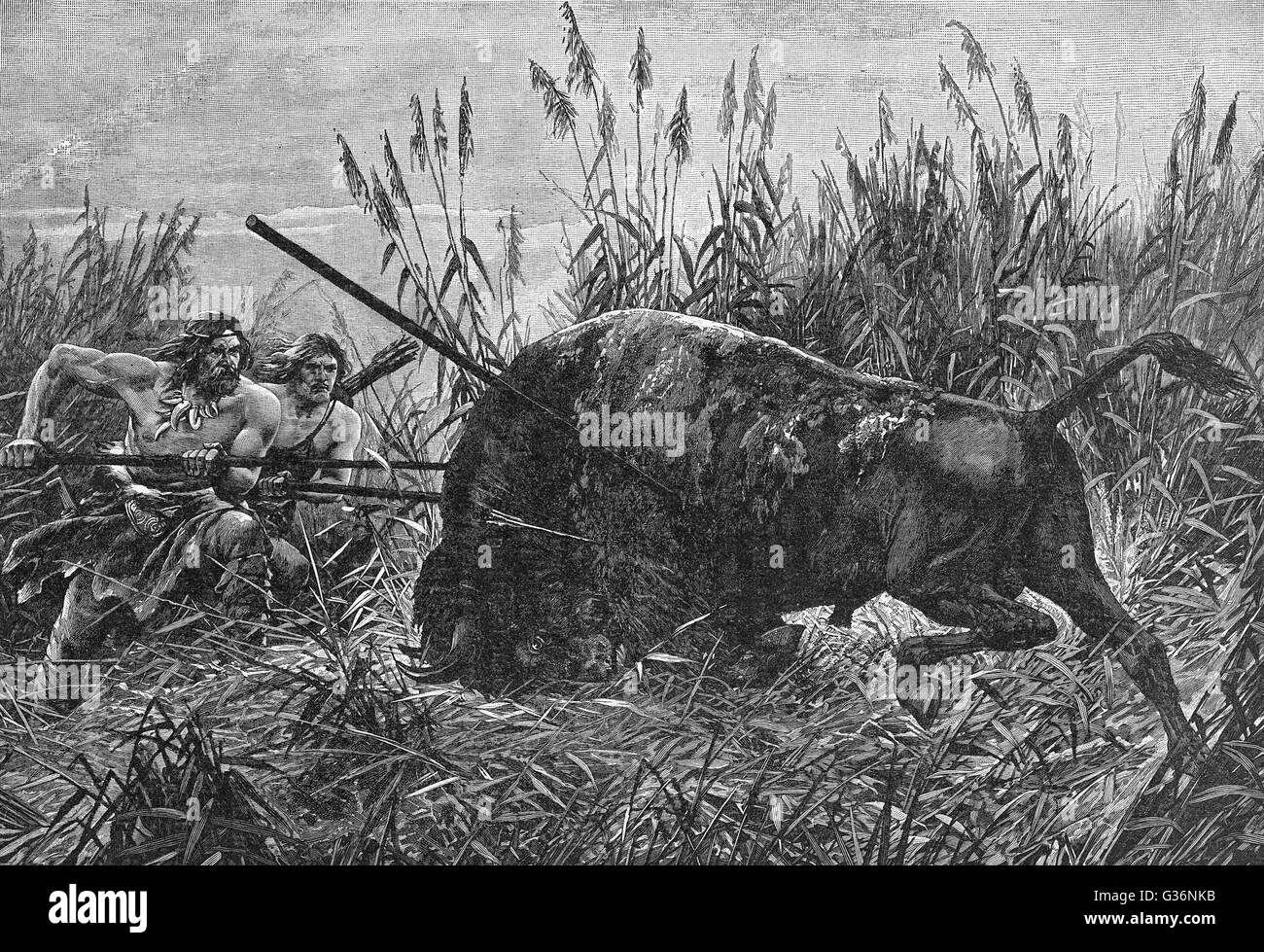 Hunting bison during the Bronze Age. Date: circa 1000 BC Stock Photo ...