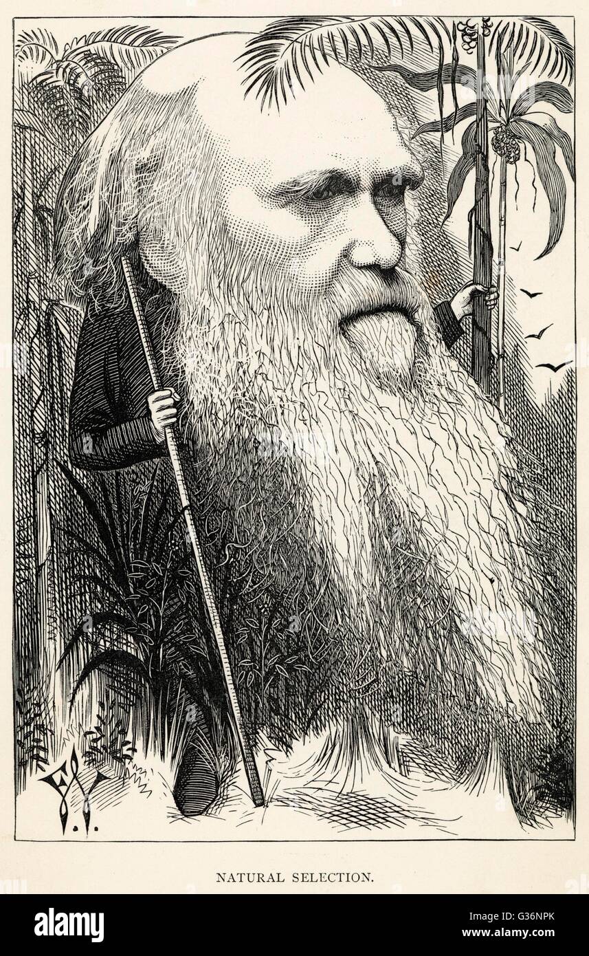 Depicted as wild man hi-res stock photography and images - Alamy