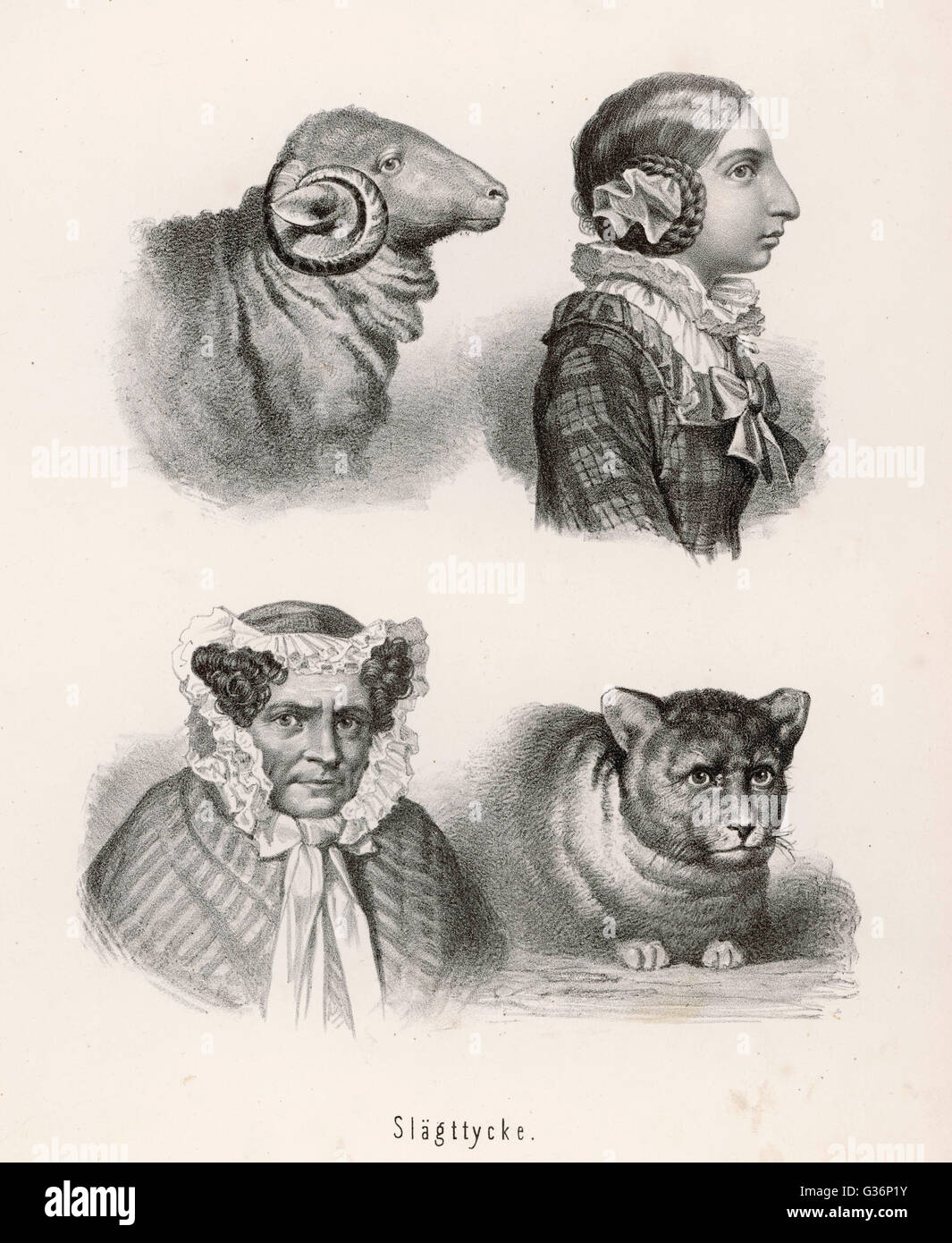 Human and animals hi-res stock photography and images - Alamy