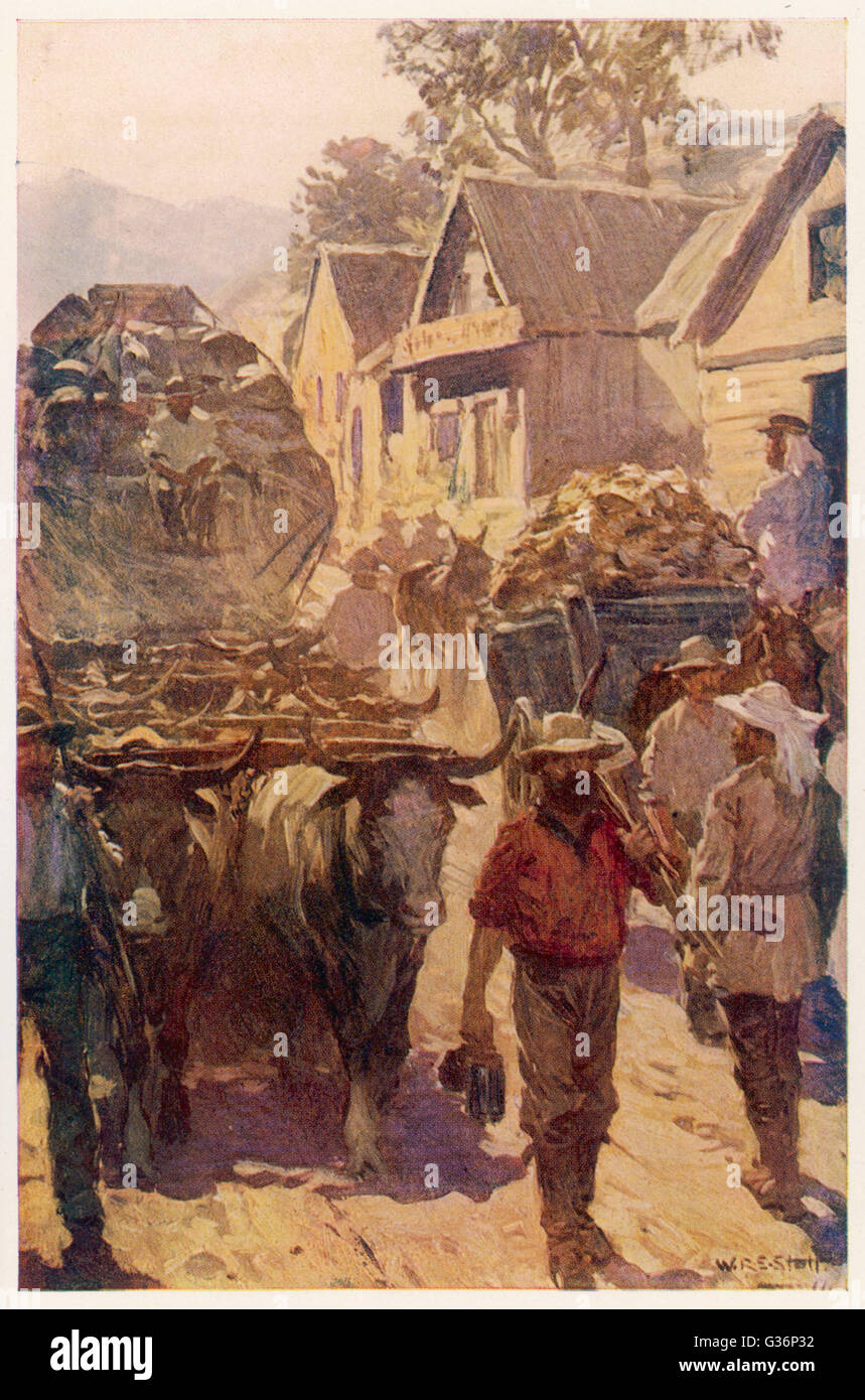 Gold rush australia hi-res stock photography and images - Alamy