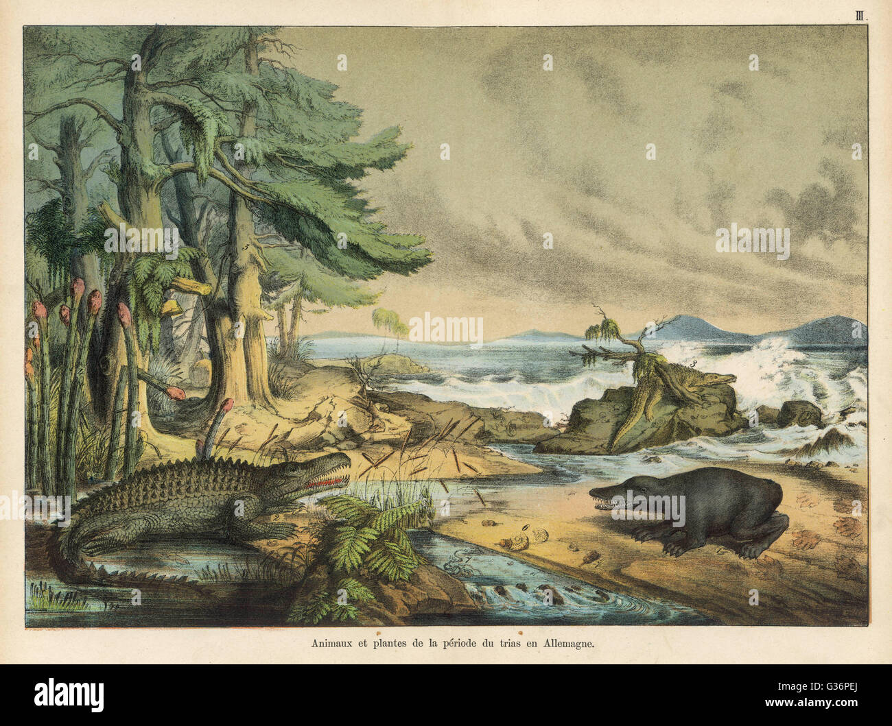 Triassic Era High Resolution Stock Photography and Images - Alamy