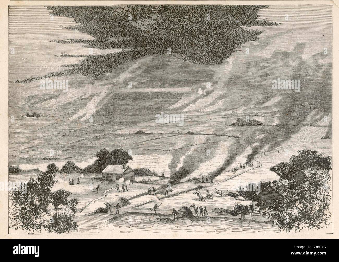 Locust swarm 1870s hi-res stock photography and images - Alamy