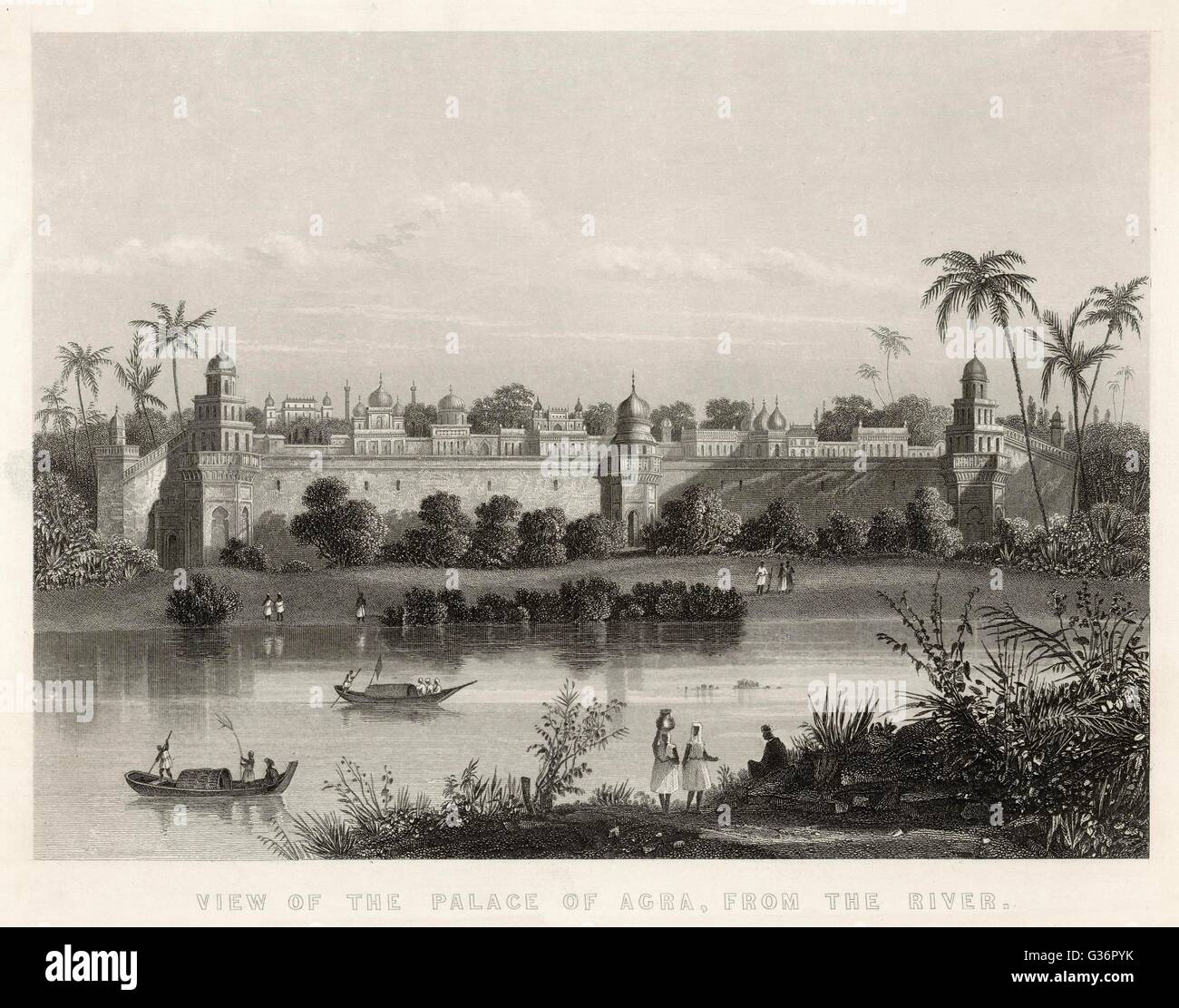 Emperor Palm High Resolution Stock Photography and Images - Alamy