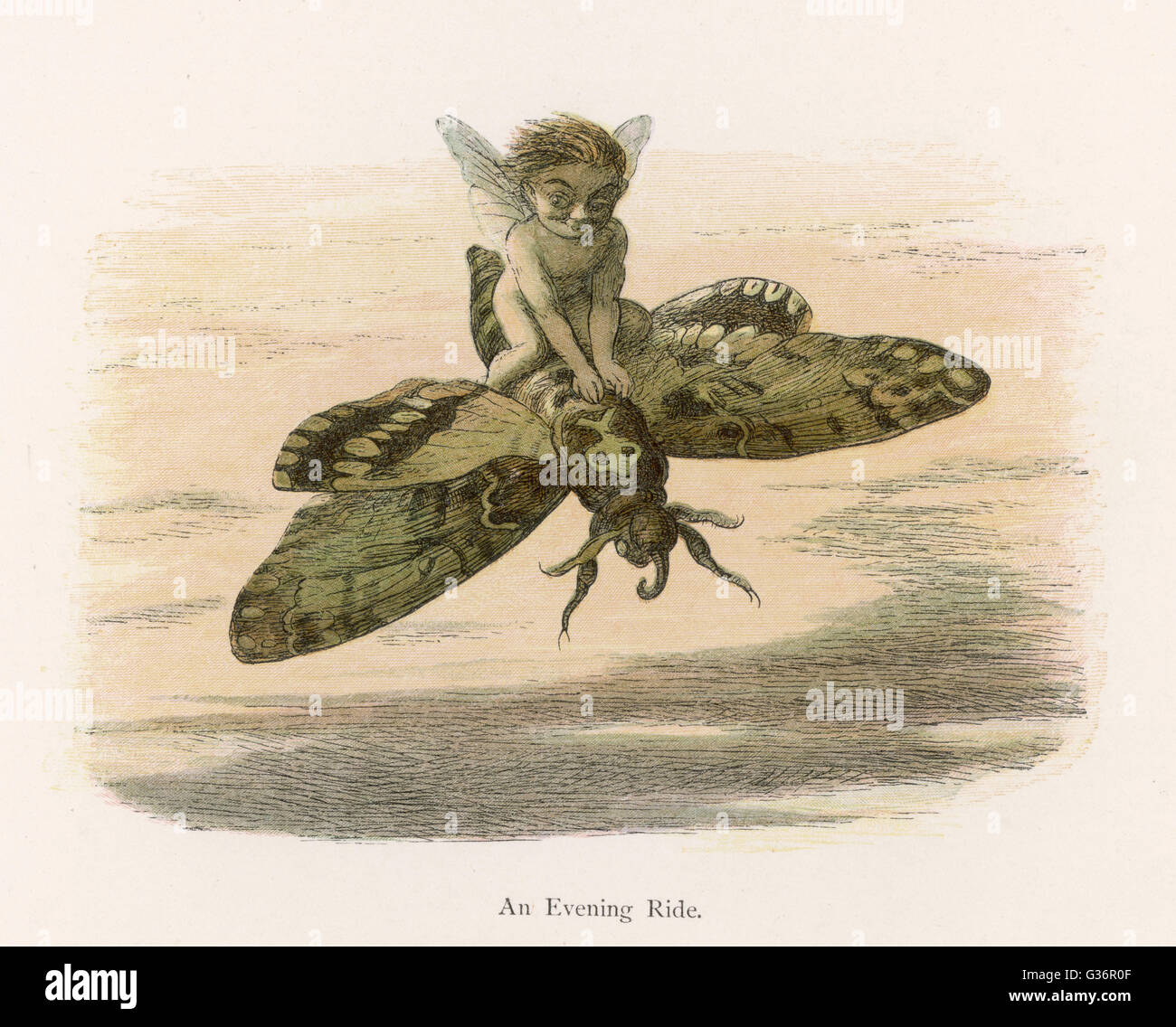 Elf riding a moth Stock Photo - Alamy