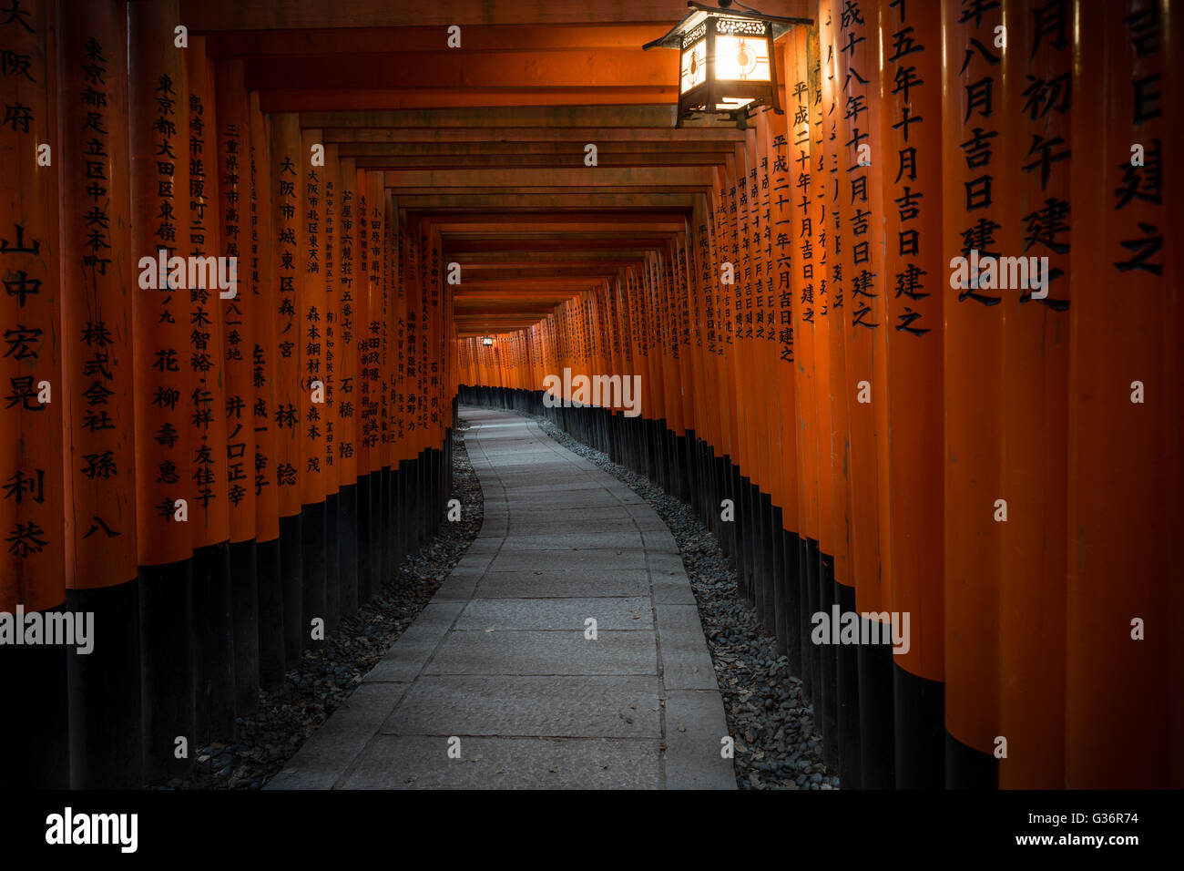 A View down the endless path of Torii Gates at the Fushimi Inari Shrine ...