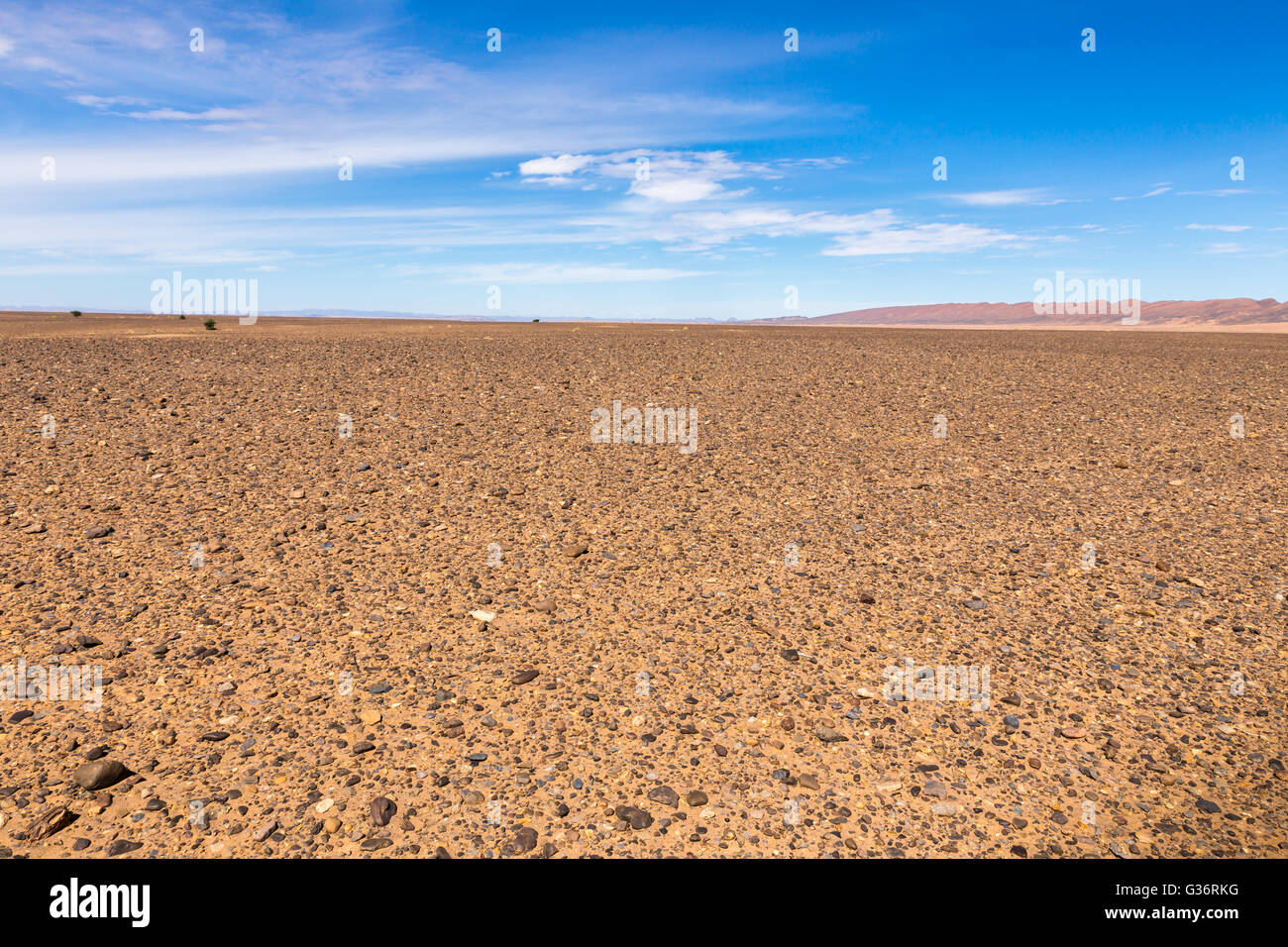 stones in the Sahara desert Stock Photo - Alamy