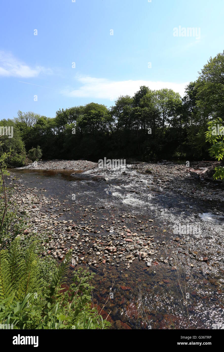 River North Esk near Edzell Angus Scotland June 2016 Stock Photo - Alamy
