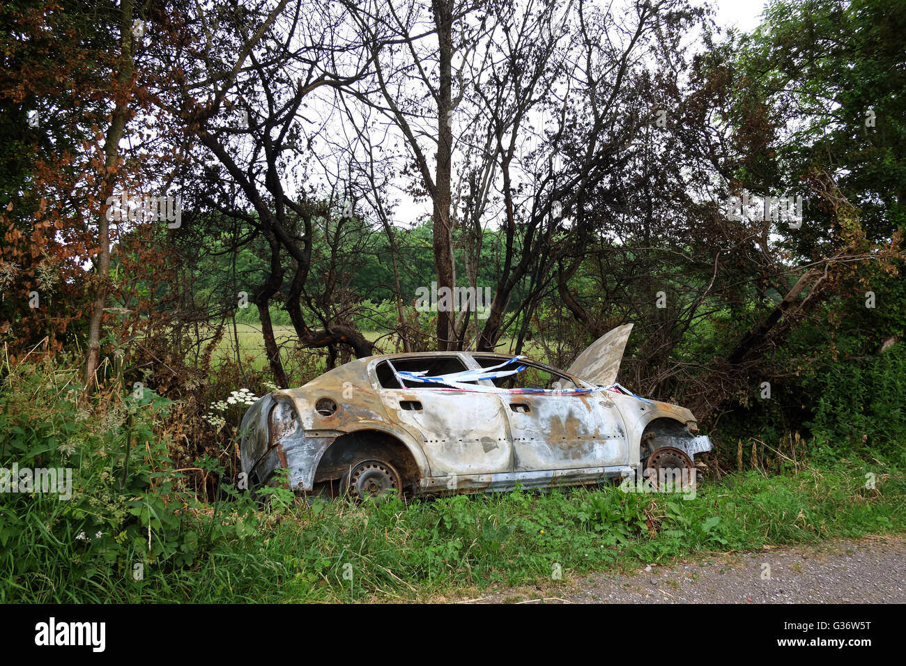 Burnt out car wreck in a ditch near Ashcott in rural Somerset, 8th June ...