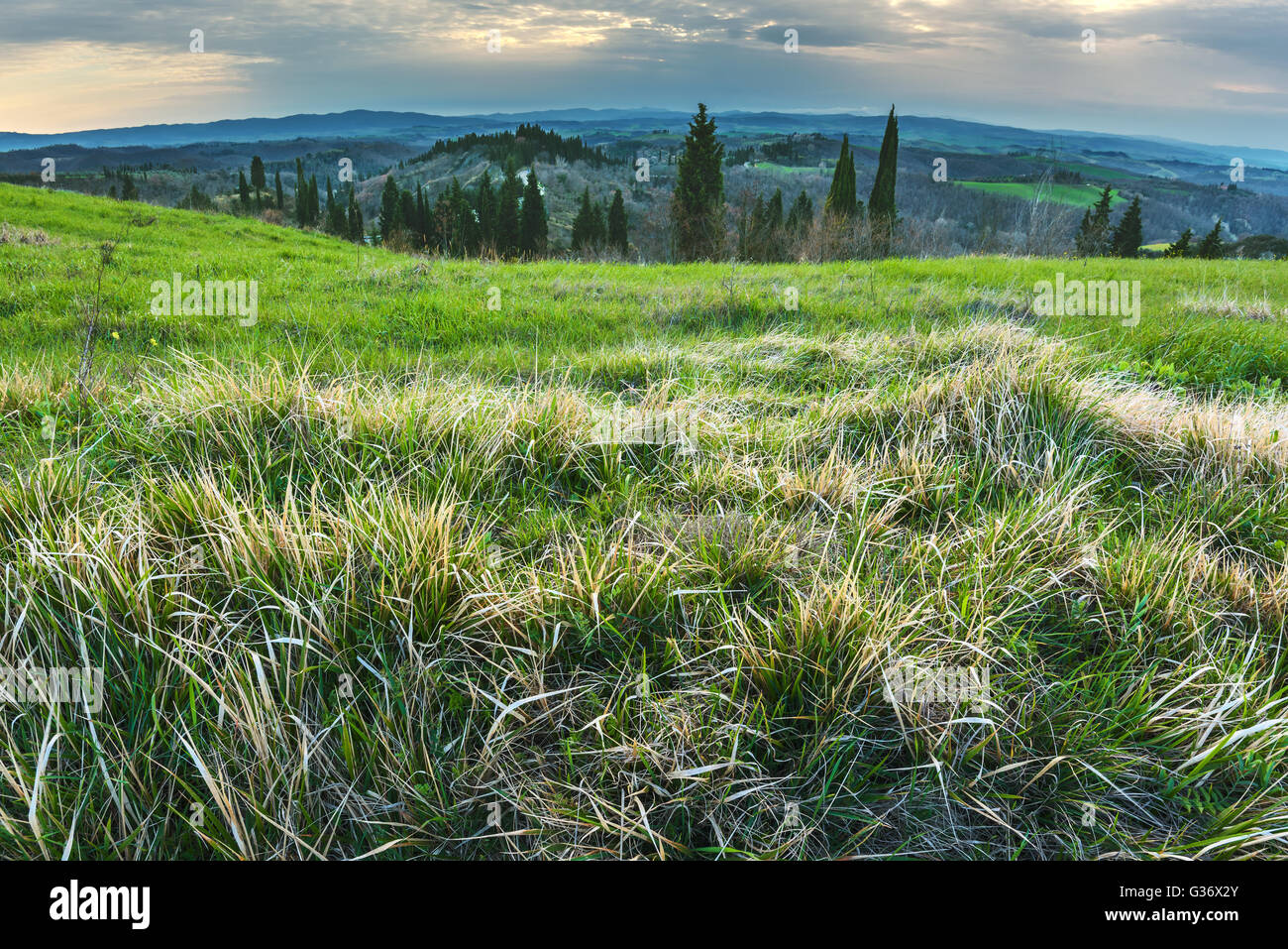Enchanted landscape with overcast sky Stock Photo - Alamy