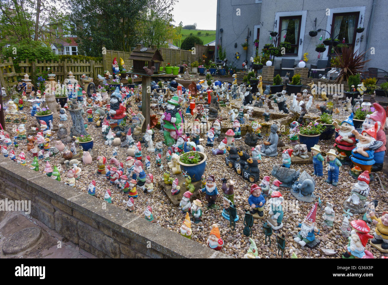 Mrs Anne Yeomans has created this garden of gnomes with gnames, raising ...