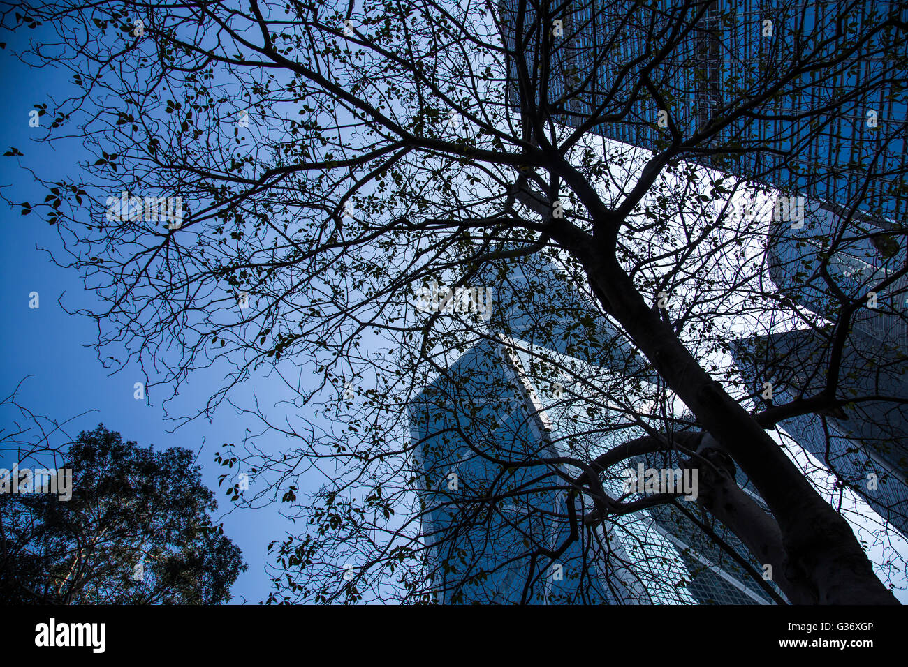 Hong Kong Modern Architectures Stock Photo - Alamy