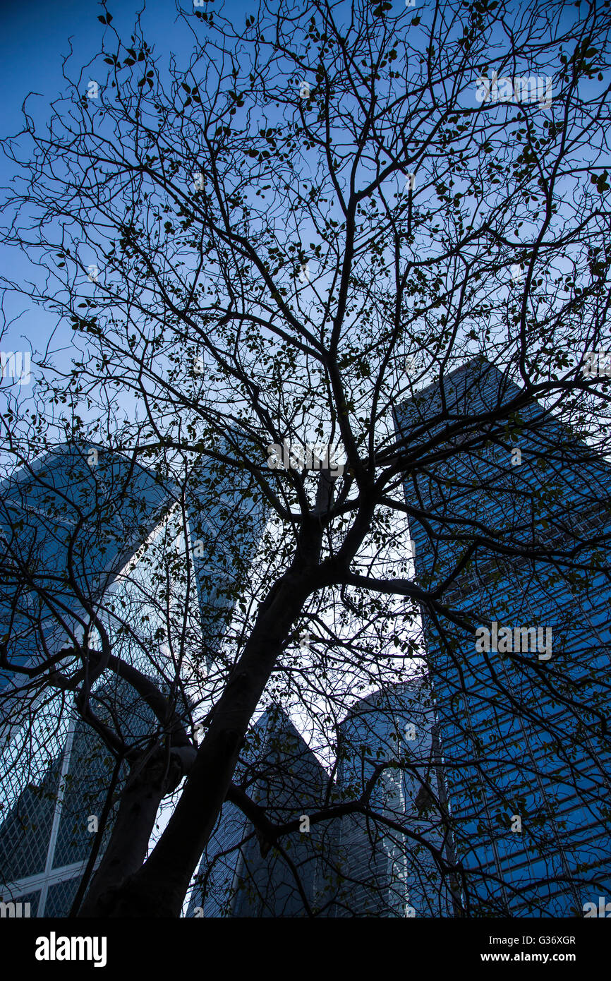 Hong Kong Modern Architectures Stock Photo - Alamy
