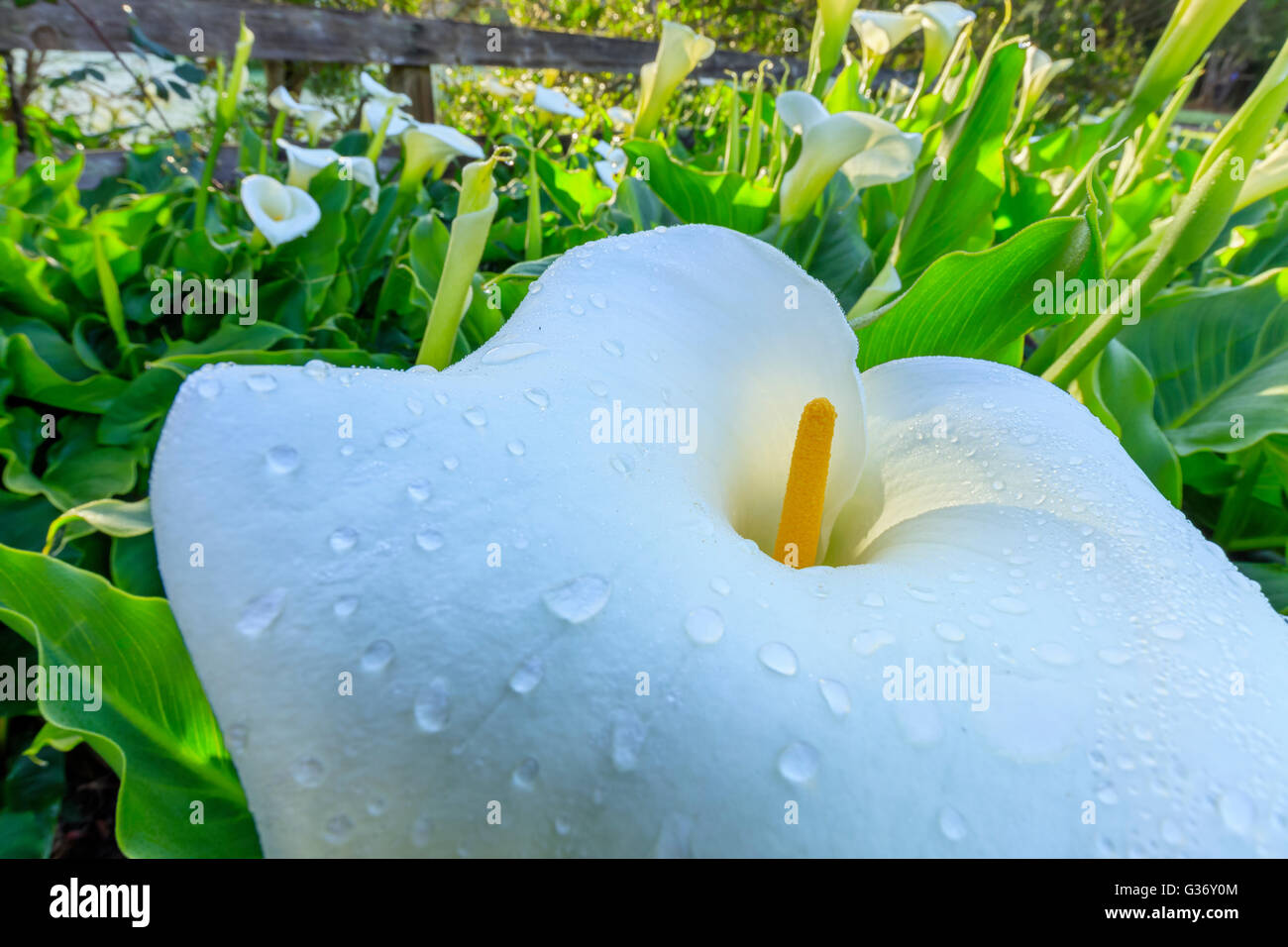 Countryside northern hi-res stock photography and images - Alamy