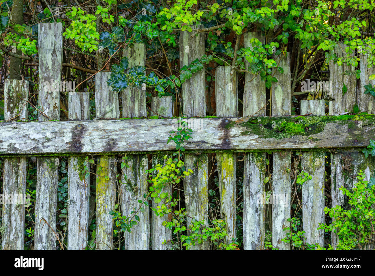 Northern California countryside Stock Photo - Alamy