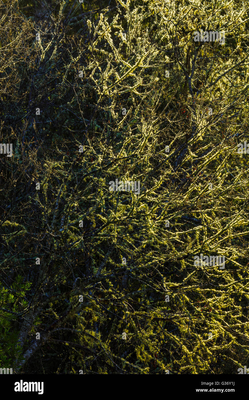 Northern California countryside Stock Photo - Alamy