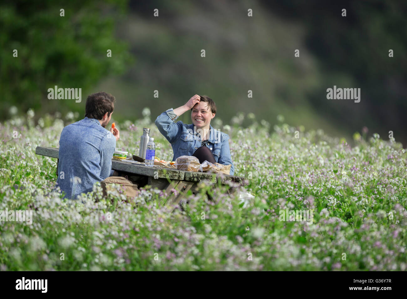 Picnic in wildflowers Stock Photo - Alamy