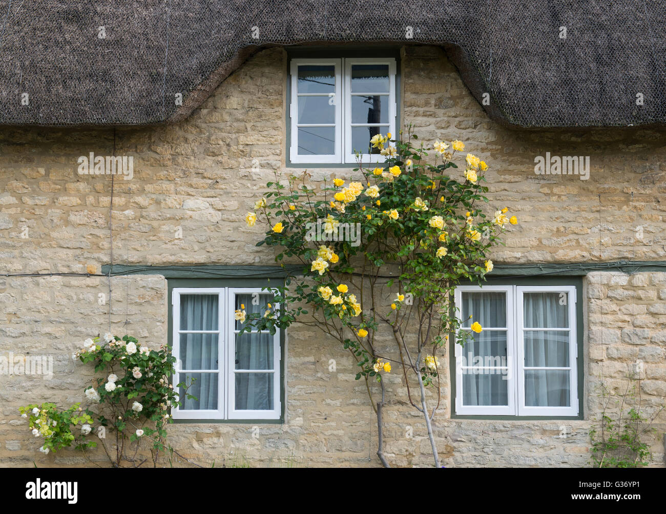 Old cottage door england rose hi-res stock photography and images - Alamy