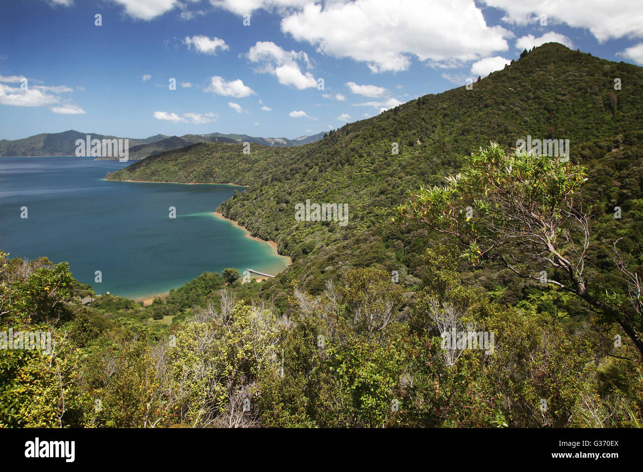 Picture by Tim Cuff - Lush native bush and blue waters viewed from a ...