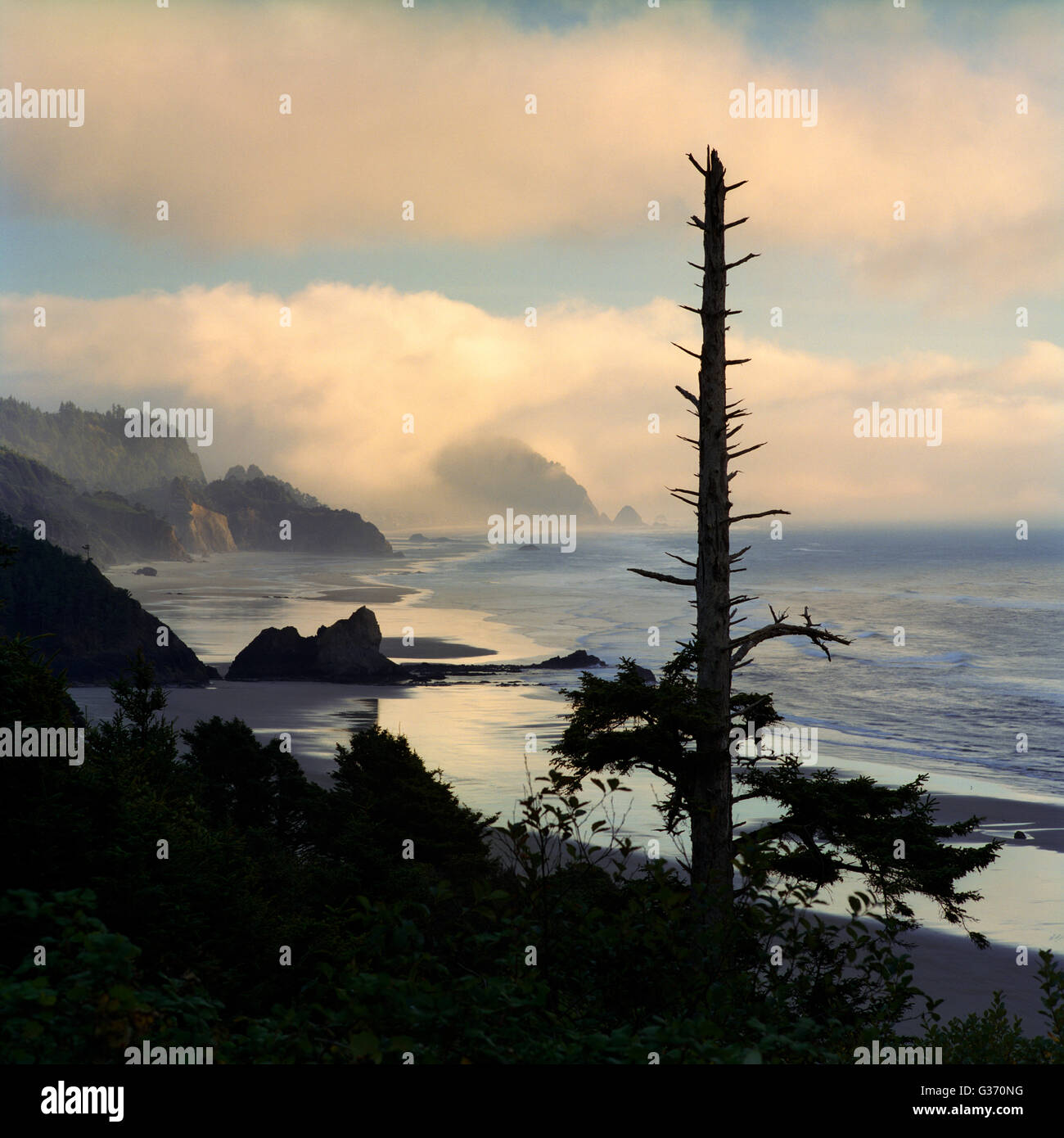 Sea stacks off Canon Beach on the Oregon Coast Stock Photo - Alamy