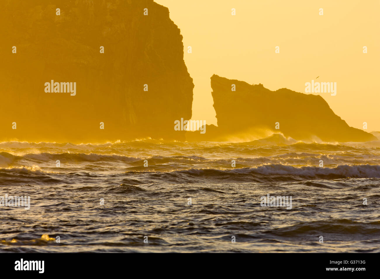 Sea stacks off town of Bandon on Oregon Coast Stock Photo - Alamy
