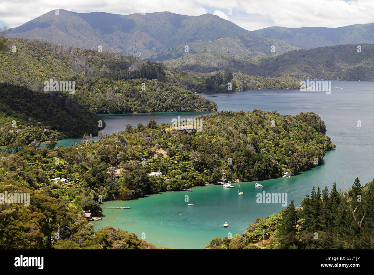 Picture by Tim Cuff - Waterside homes in Onahau Bay, Queen Charlotte ...