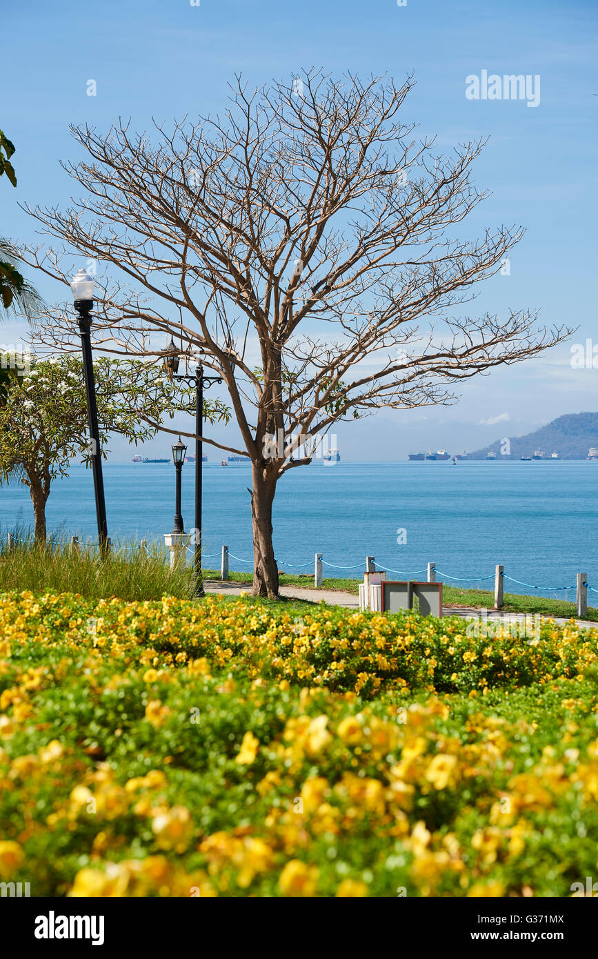 Panama City, Republic of Panama, Central America Stock Photo - Alamy