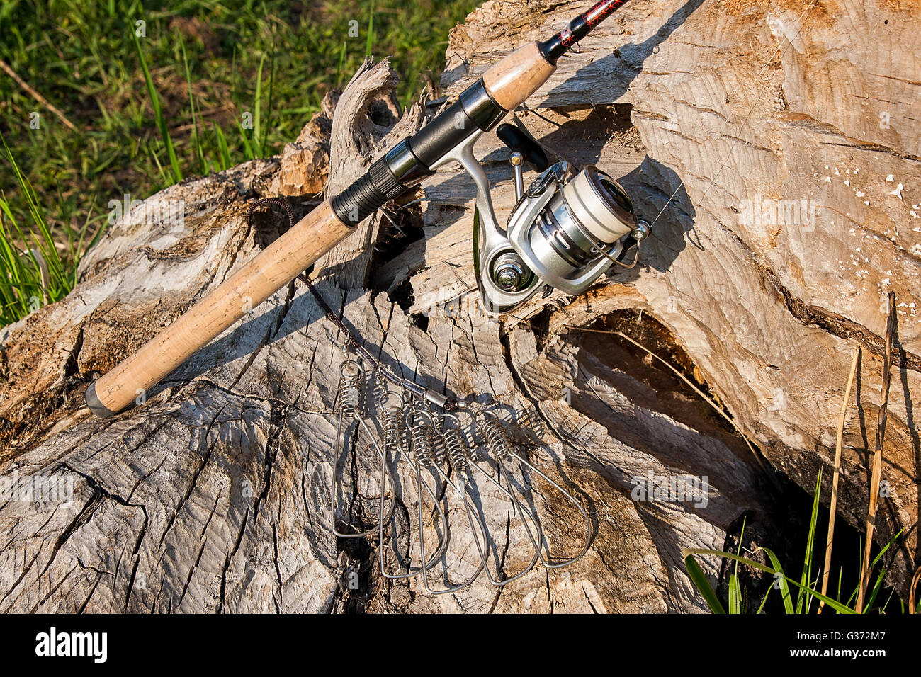 Fishing rod with fishing reel on the natural background. Spinning and ...