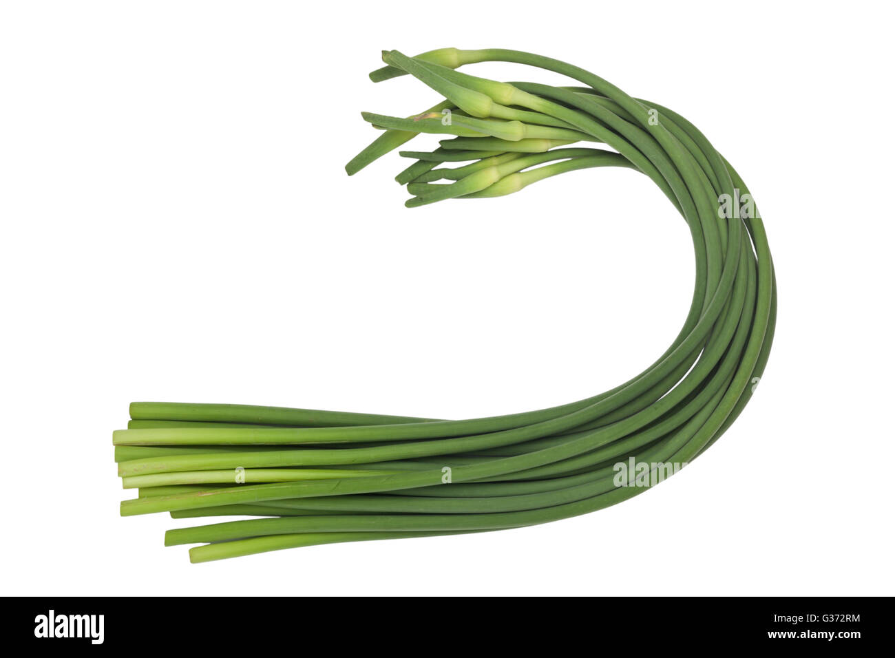 Stalks of garlic scapes isolated on white background Stock Photo - Alamy