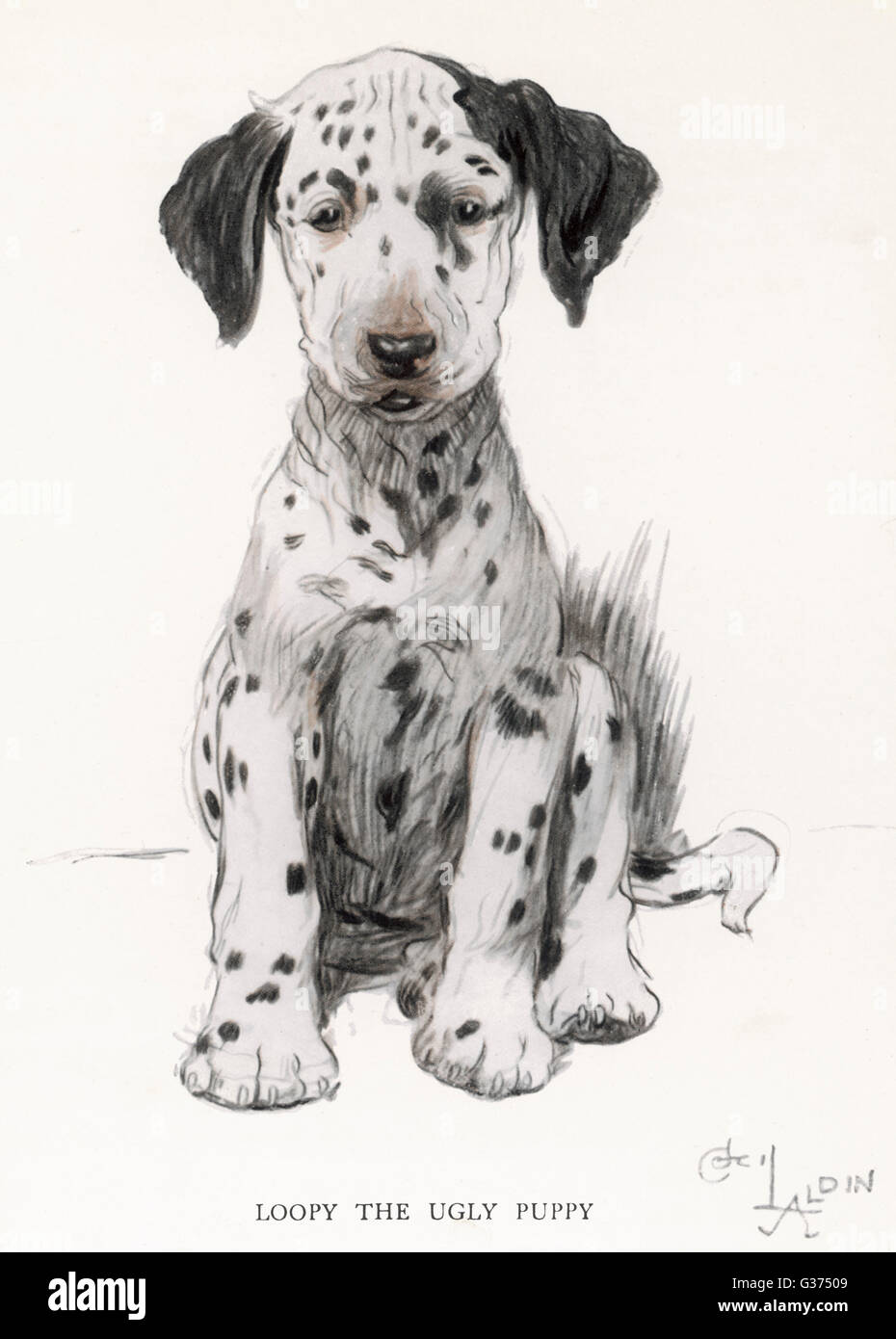 How To Draw A Dalmatian Puppy