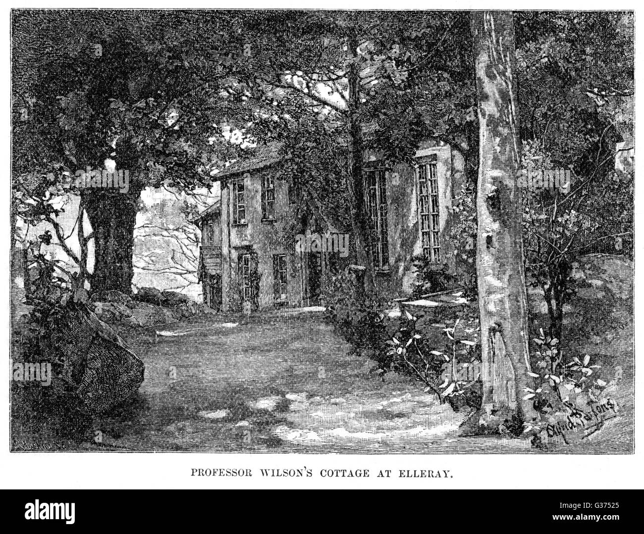 Editor at home Black and White Stock Photos & Images - Alamy