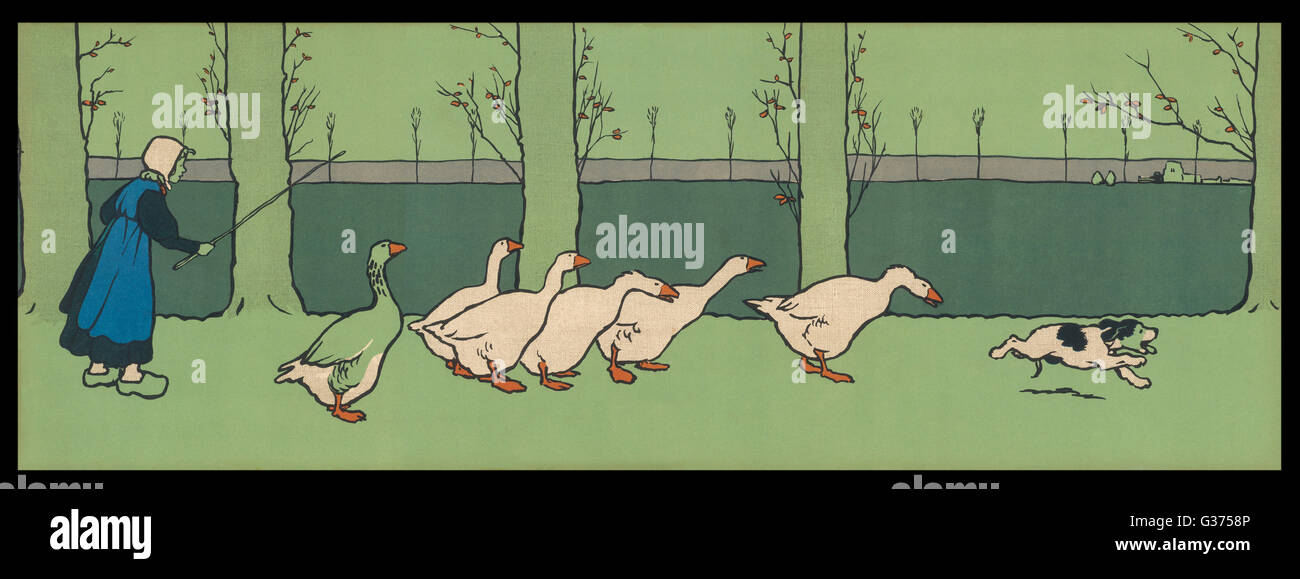A goose girl and six geese, led by a dog in an autumn landsc Stock ...